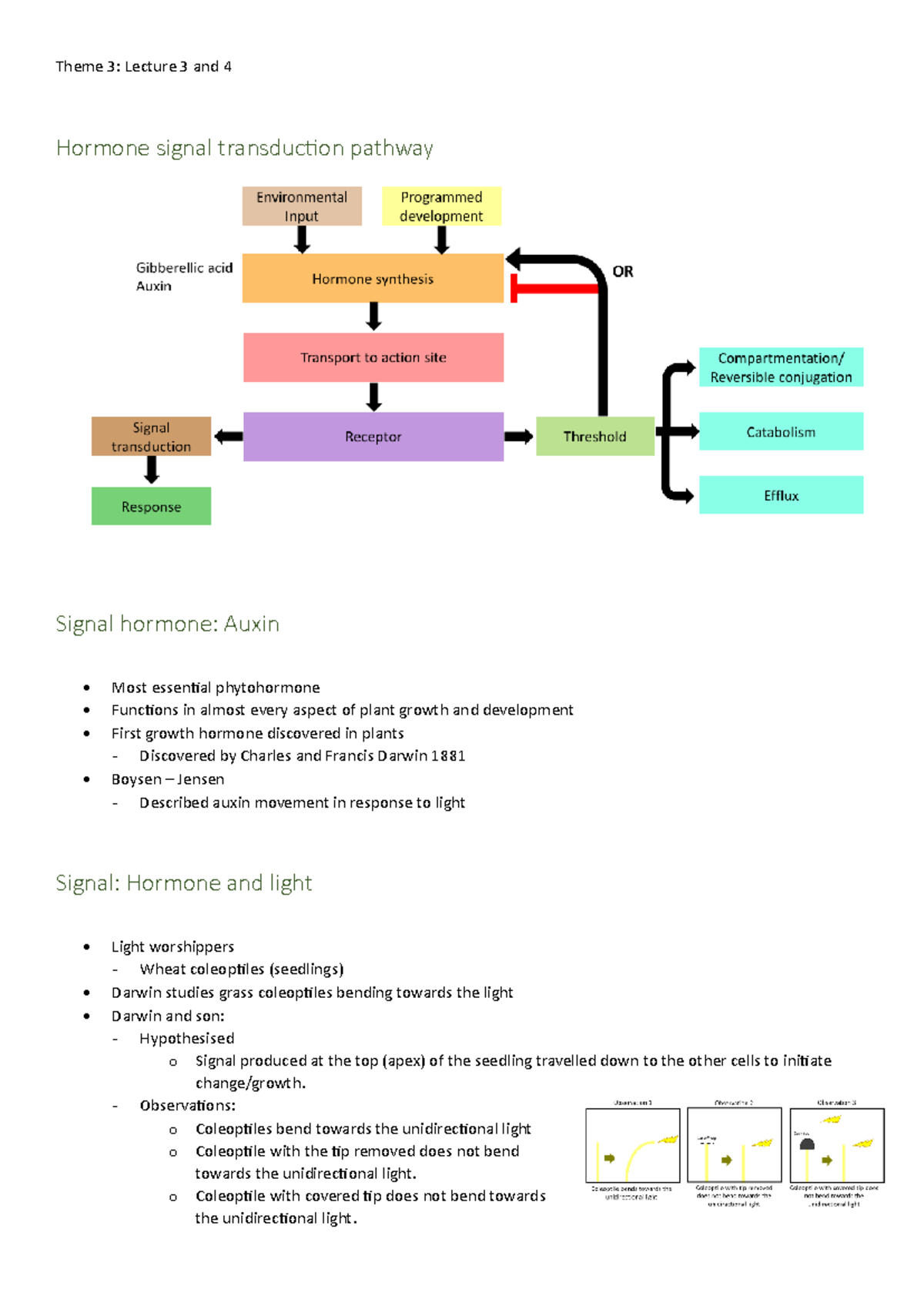Theme 3 - Lecture 3 and 4 - Theme 3: Lecture 3 and 4 Hormone signal ...
