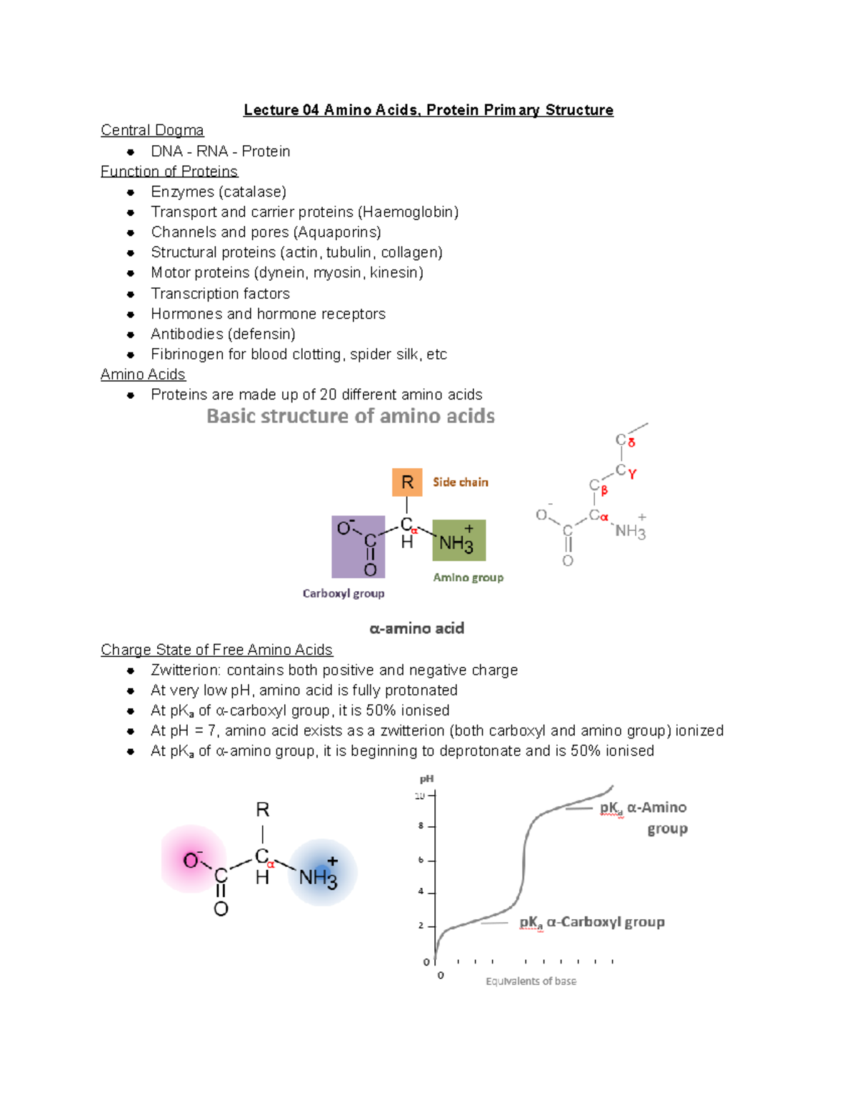 Lectures 4-6 BIOL10212 Biochemistry - Lecture 04 Amino Acids, Protein ...