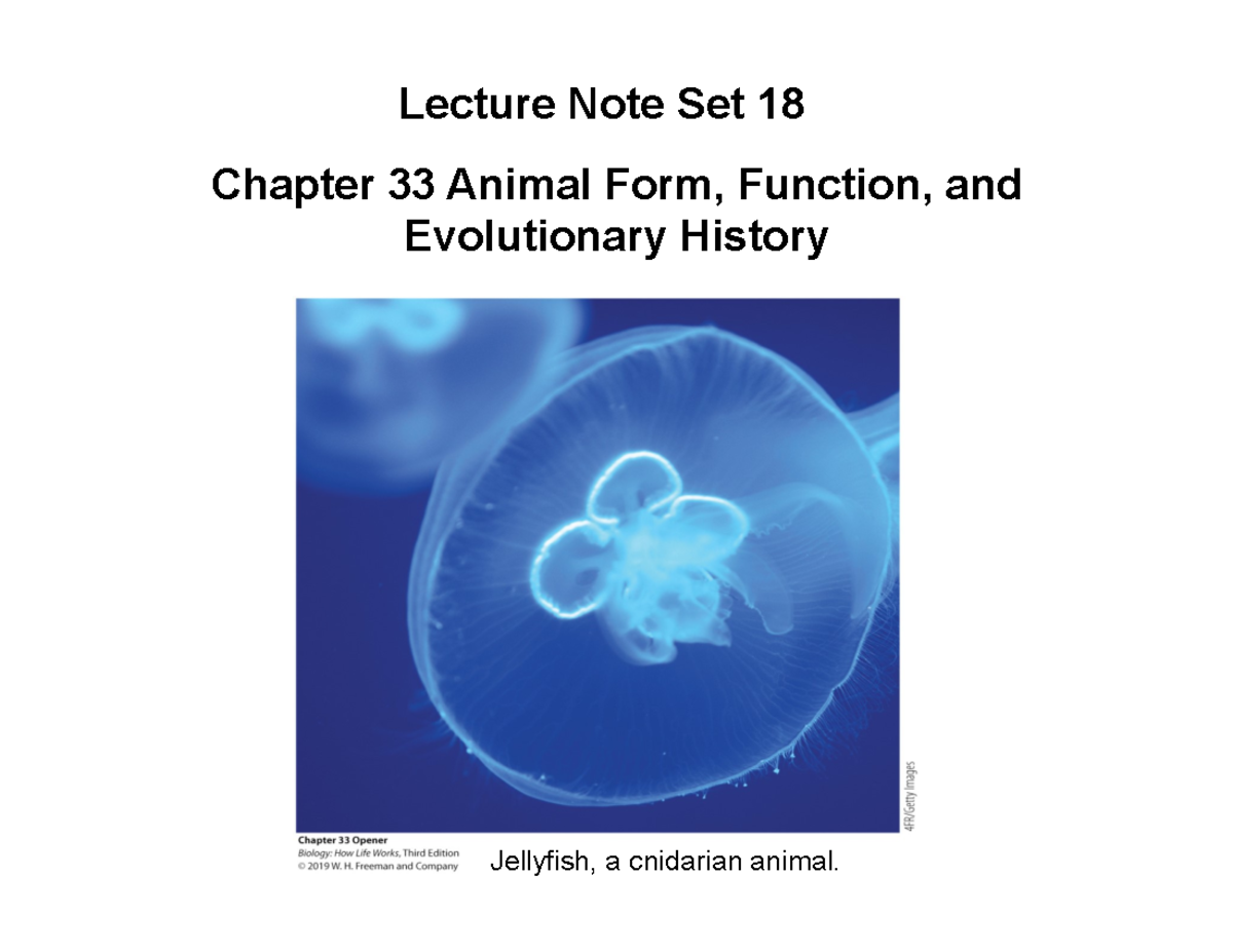 Gen Bio II SP23 Lecture 18 - Chapter 33 Animal Form, Function, and ...
