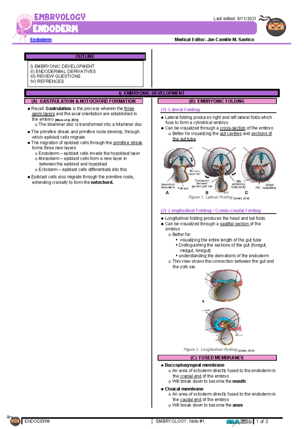 264 - Embryology Physiology] Endoderm - ENDODERM EMBRYOLOGY: Note #1. 1 ...