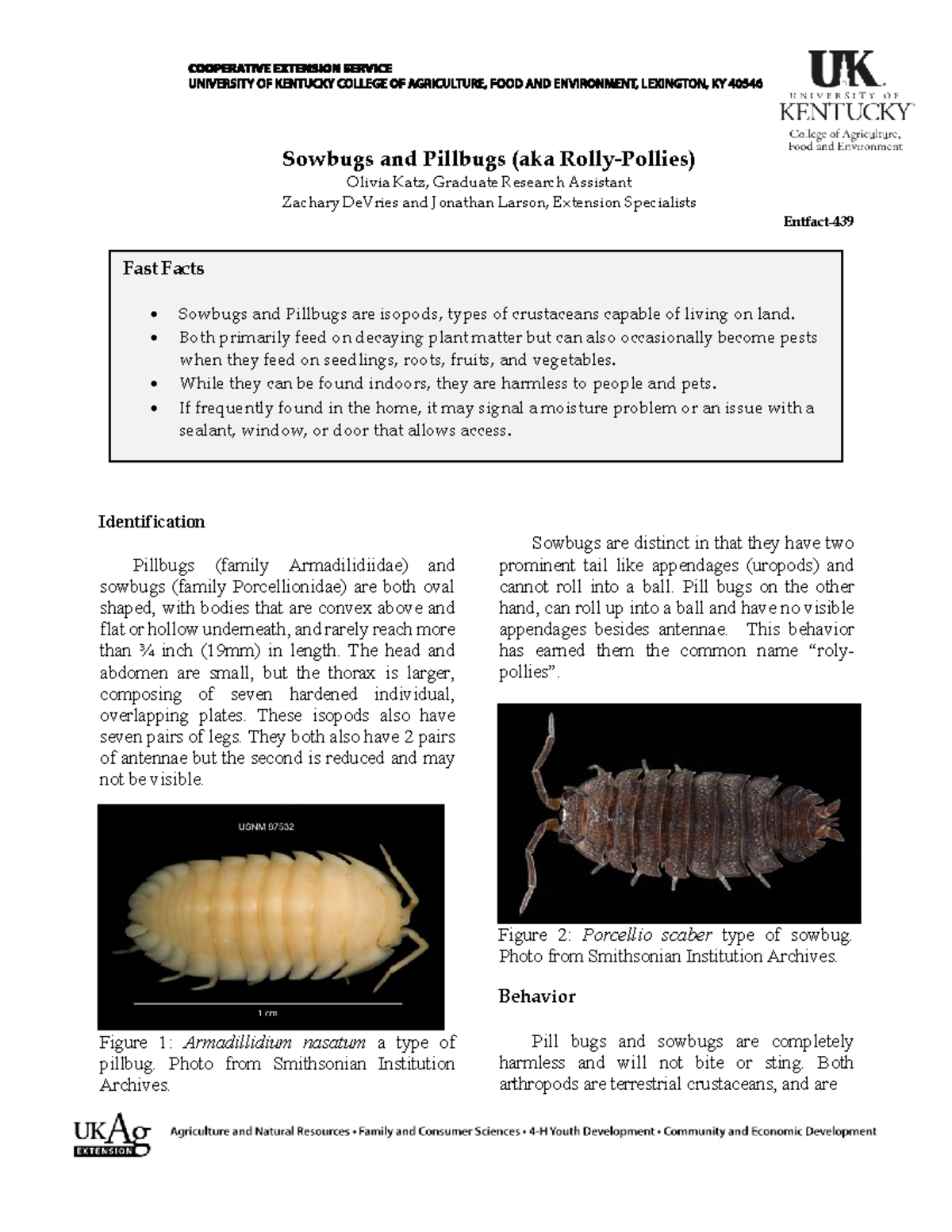 Pillbugs and sowbugs - Soup to nuts experiment testing behavior of ...