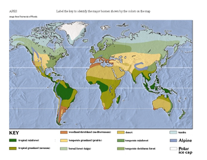03 biomes chart answer key - ANSWER KEY: Terrestrial Biomes ...