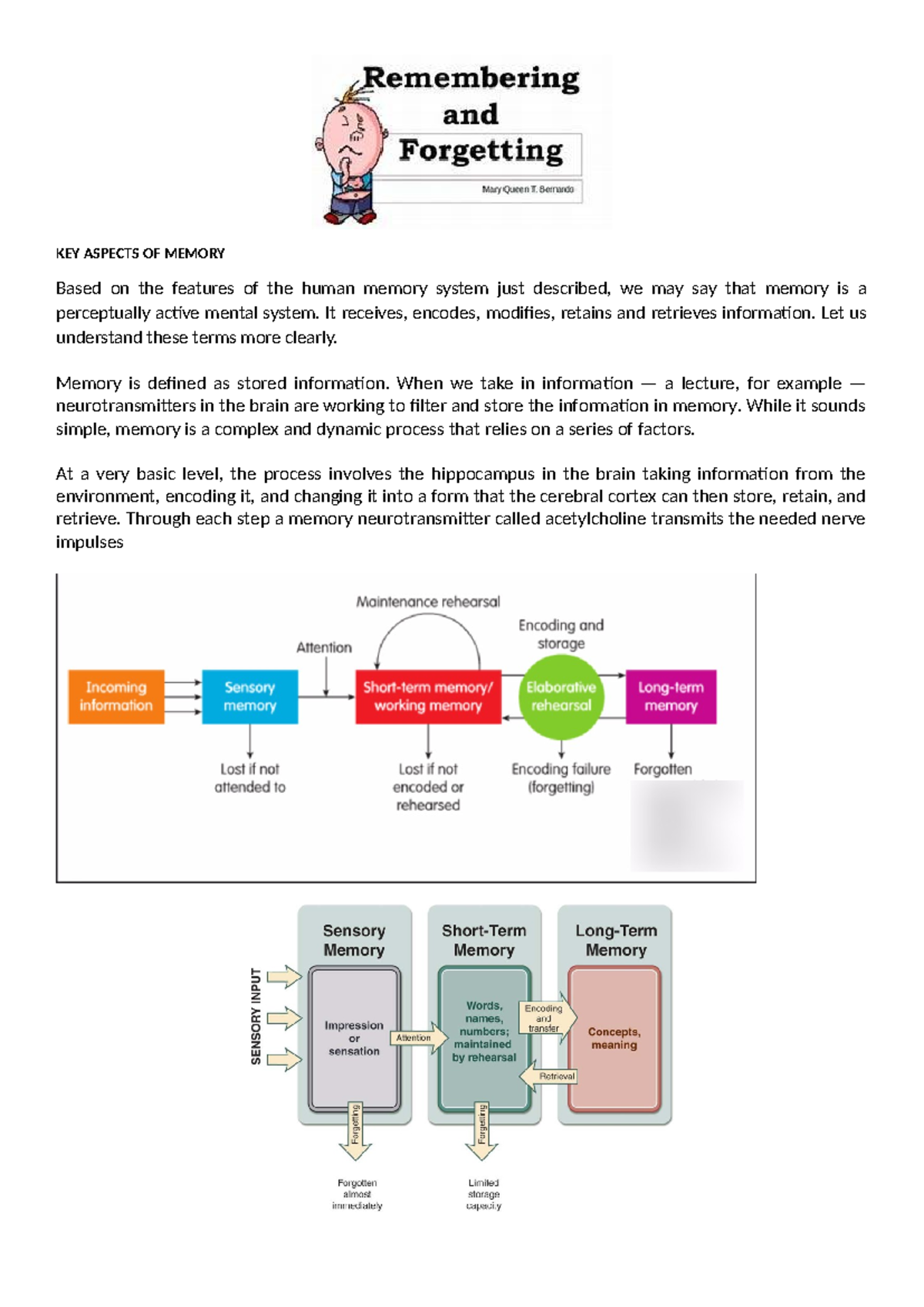 Rememembering n forgetting copy - KEY ASPECTS OF MEMORY Based on the ...