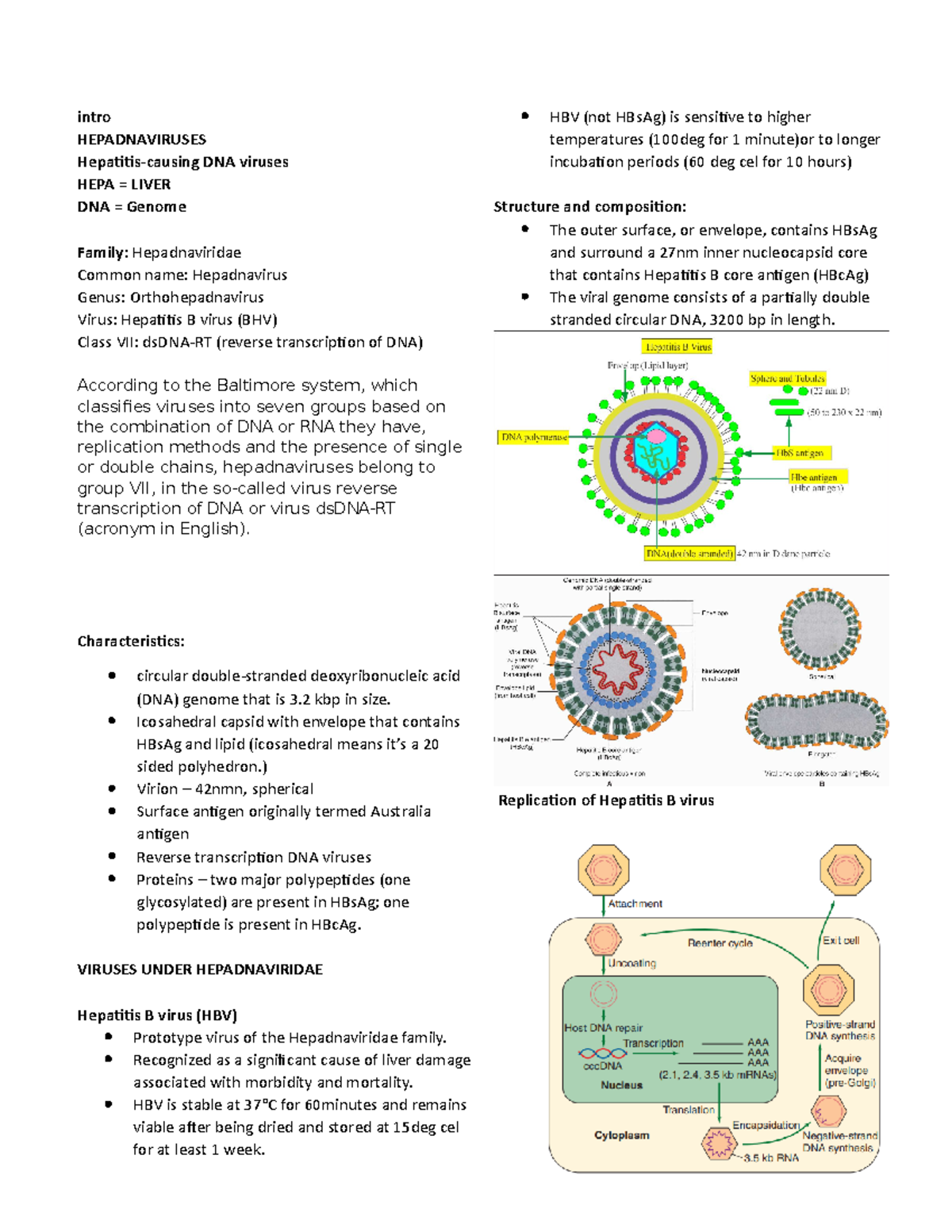 Hepadnaviridae - intro HEPADNAVIRUSES Hepatitis-causing DNA viruses ...