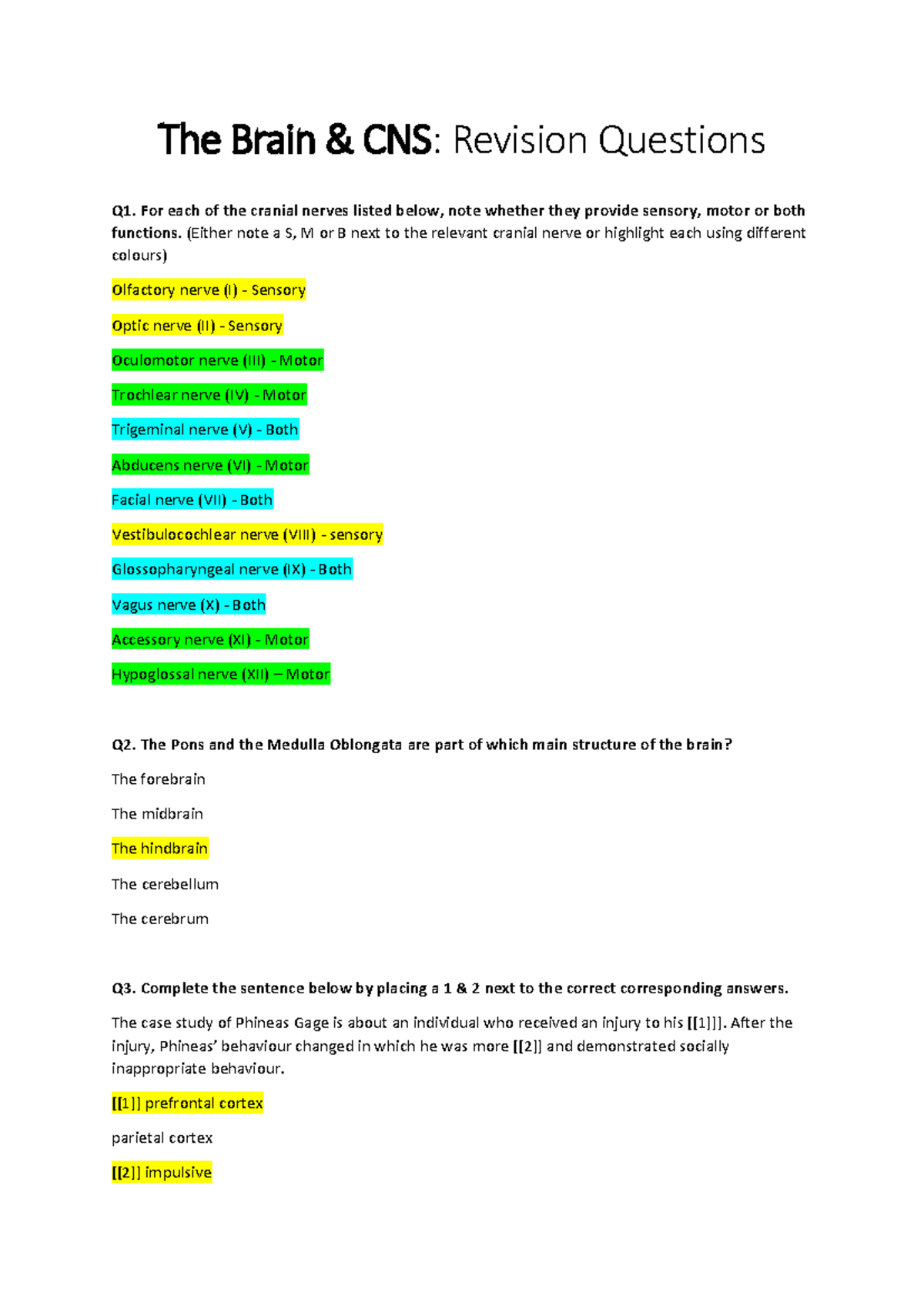 The Brain CNS - Revision Questions (Answers) - The Brain & CNS ...