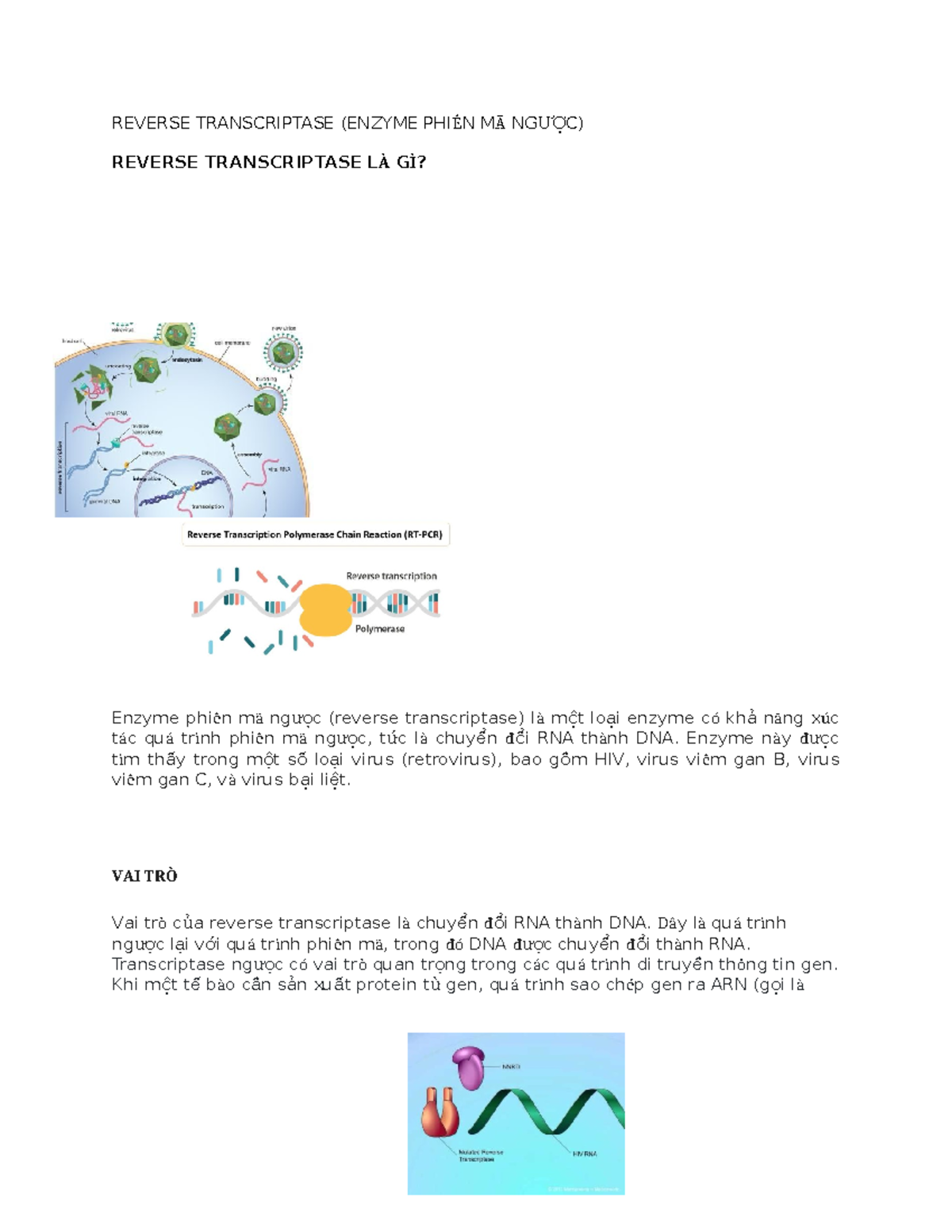 Reverse Transcriptase - REVERSE TRANSCRIPTASE (ENZYME PHIÊN MÃ NGƯỢC) REVERSE TRANSCRIPTASE LÀ ...
