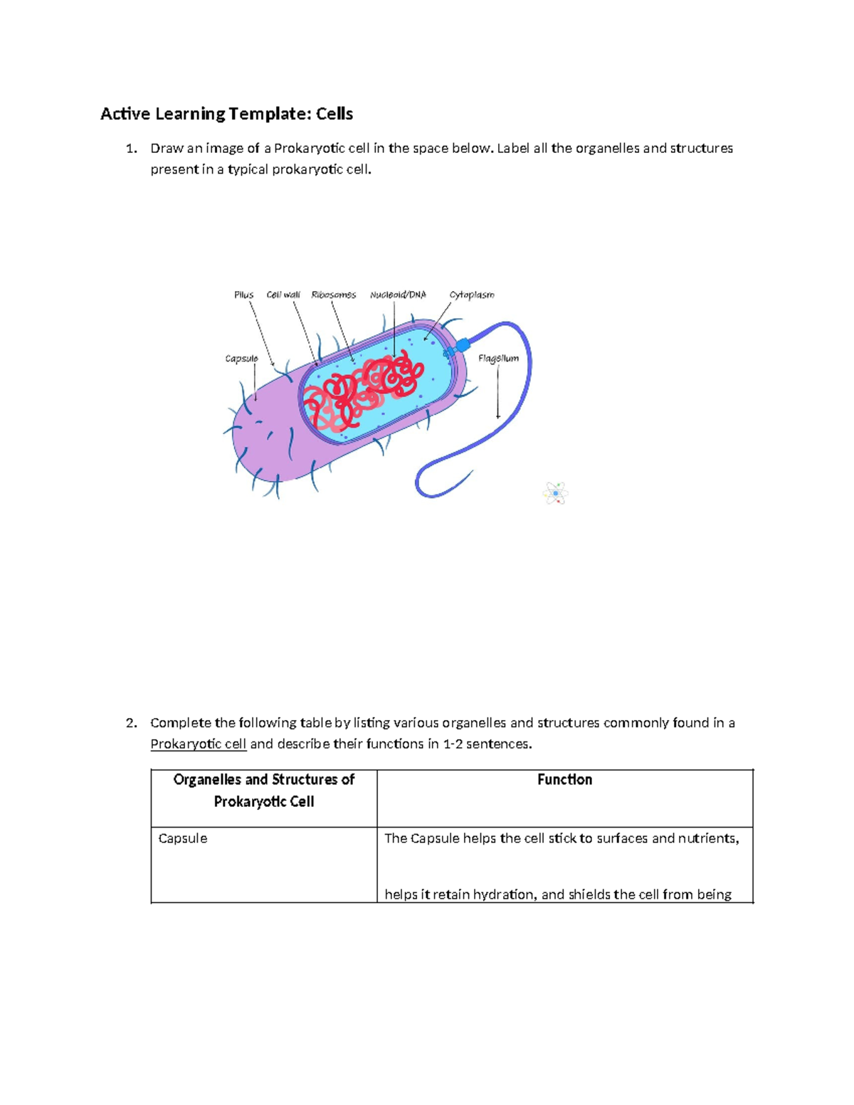 Week 2 Micro Assignment - Active Learning Template: Cells Draw an image ...
