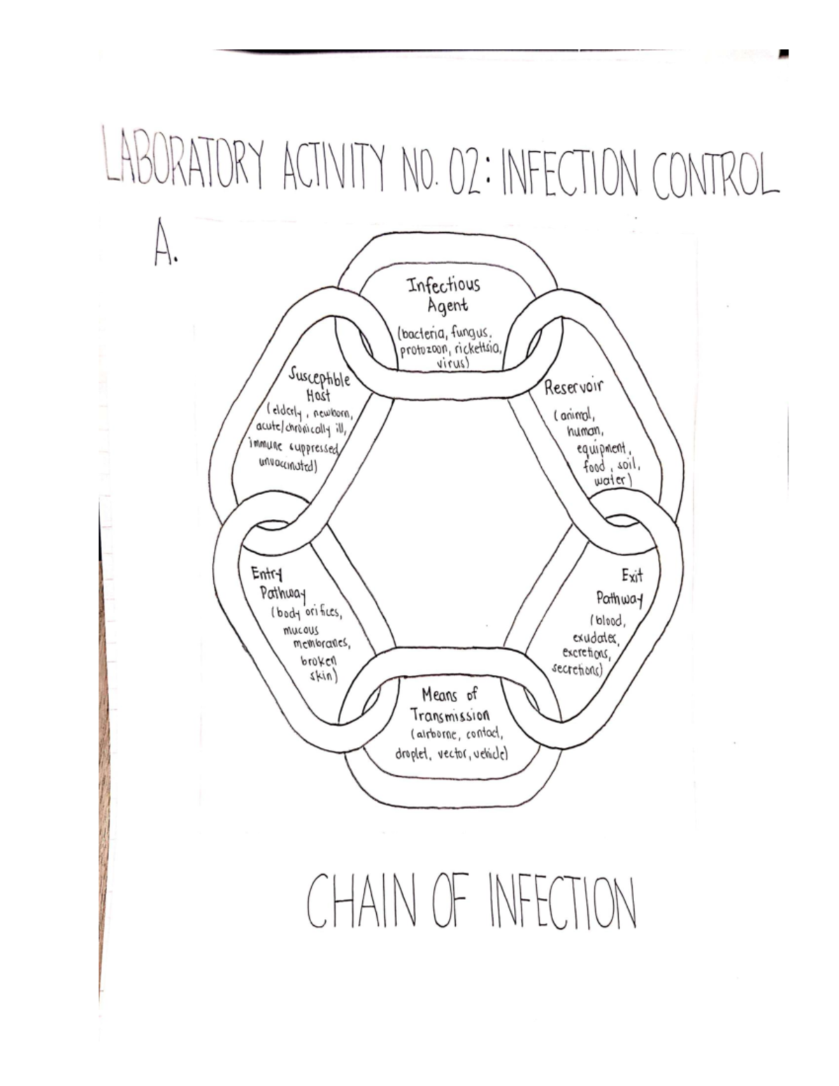 Laboratory Activity NO. 02 - Infection Control - BS Medical Technology ...