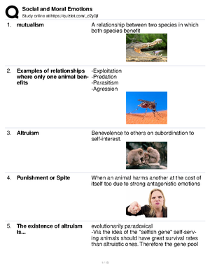 Pogil Cellular Respiration - The overview - Cellular Respiration—An ...