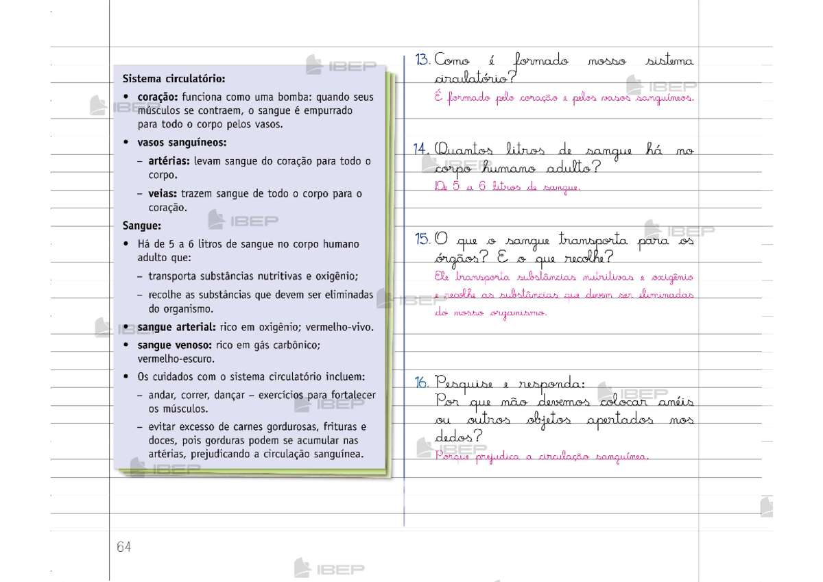 SC (Cv)-gabarito - qualquer coisa - Diversidade Biológica Animal I ...