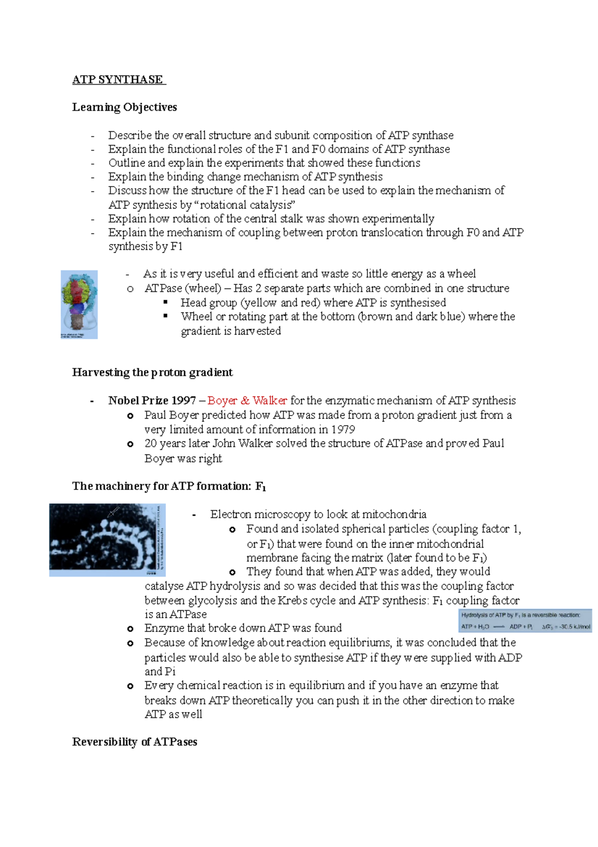 11-ATP Synthase - Lecture notes 11 - ATP SYNTHASE Learning Objectives ...