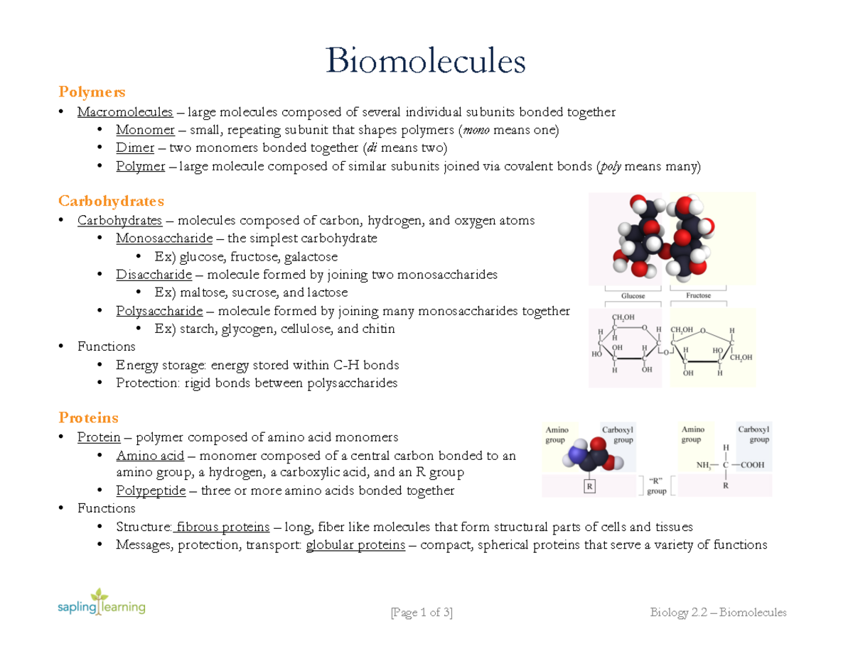 Bio 2-2 Biomolecules - IDK - Biomolecules [Page 1 of 3 ] Biology 2 ...