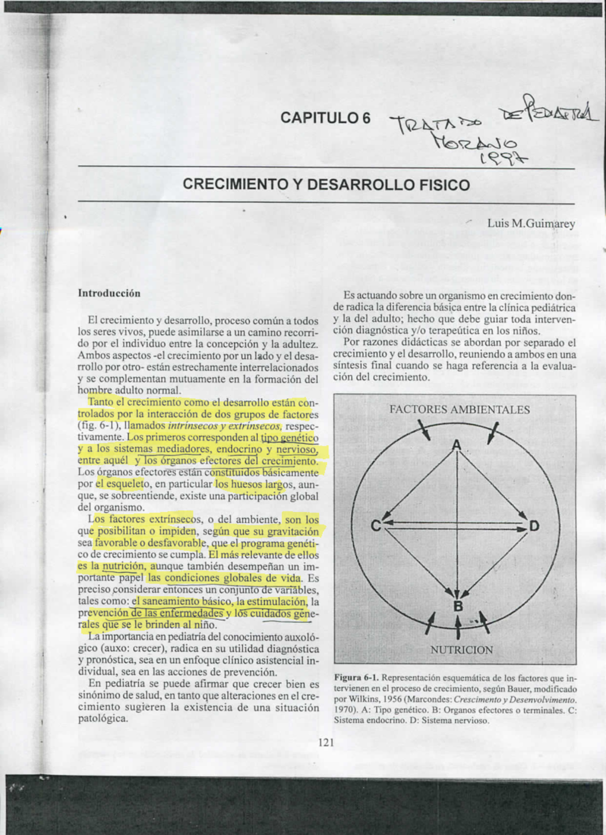 Crecimiento y desarrollo físico. Luis Guimarey. Morano 1997 corregido - CAPITULO 6 TRATAS MORANO ...