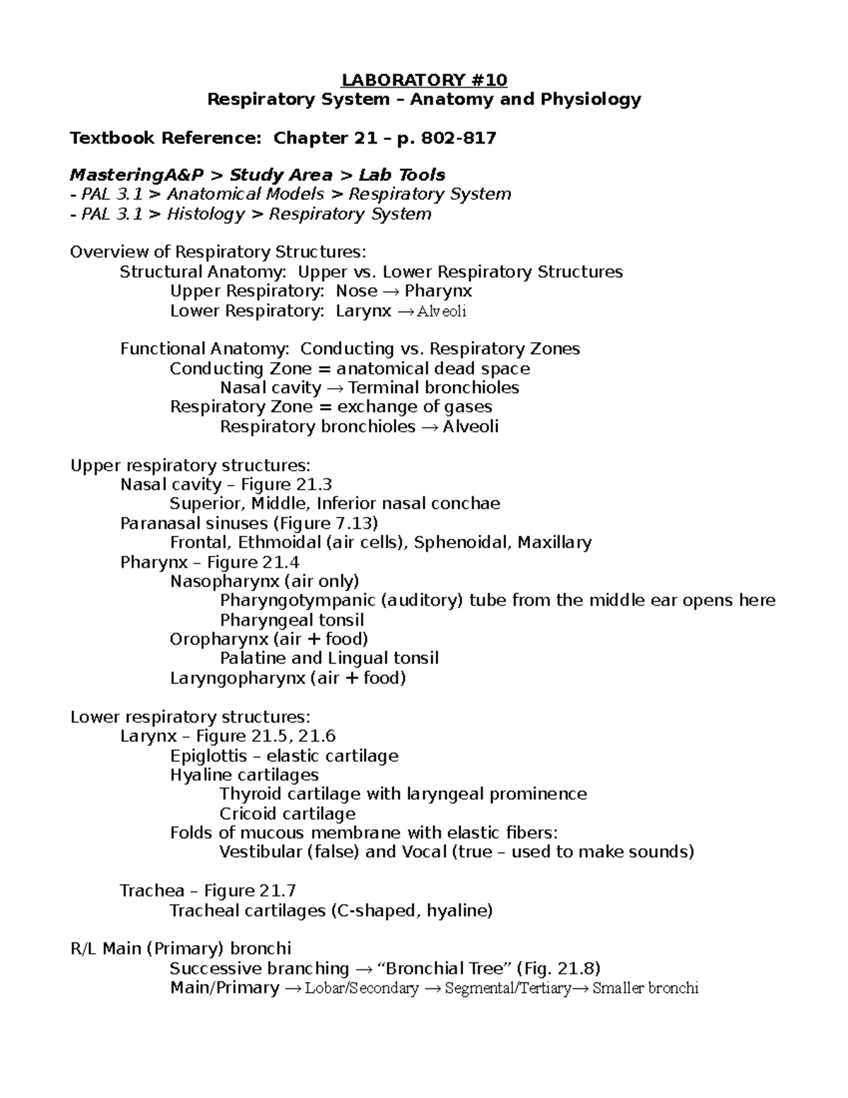 BIOL 125 LAB #10 Respiratory Anatomy & Physiology - LABORATORY ...