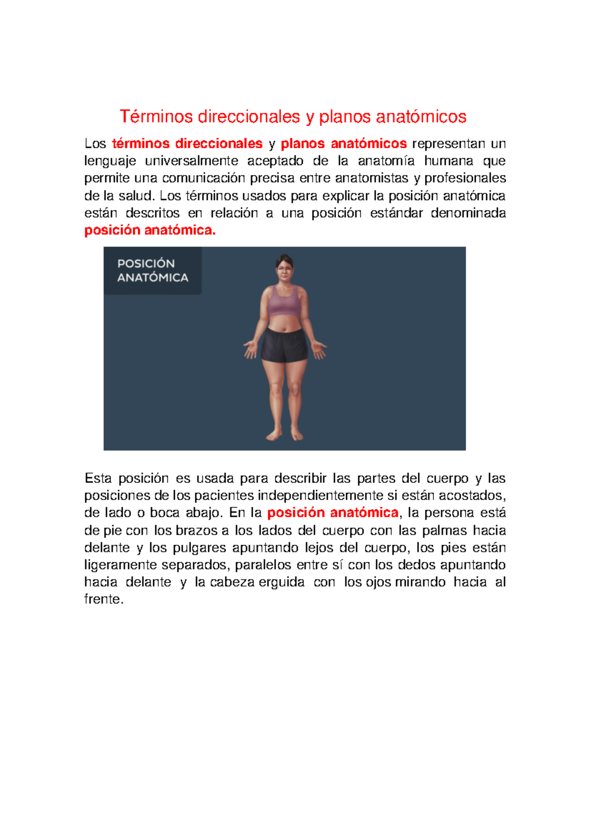 Anatomia Basica - Términos direccionales y planos anatómicos Los ...