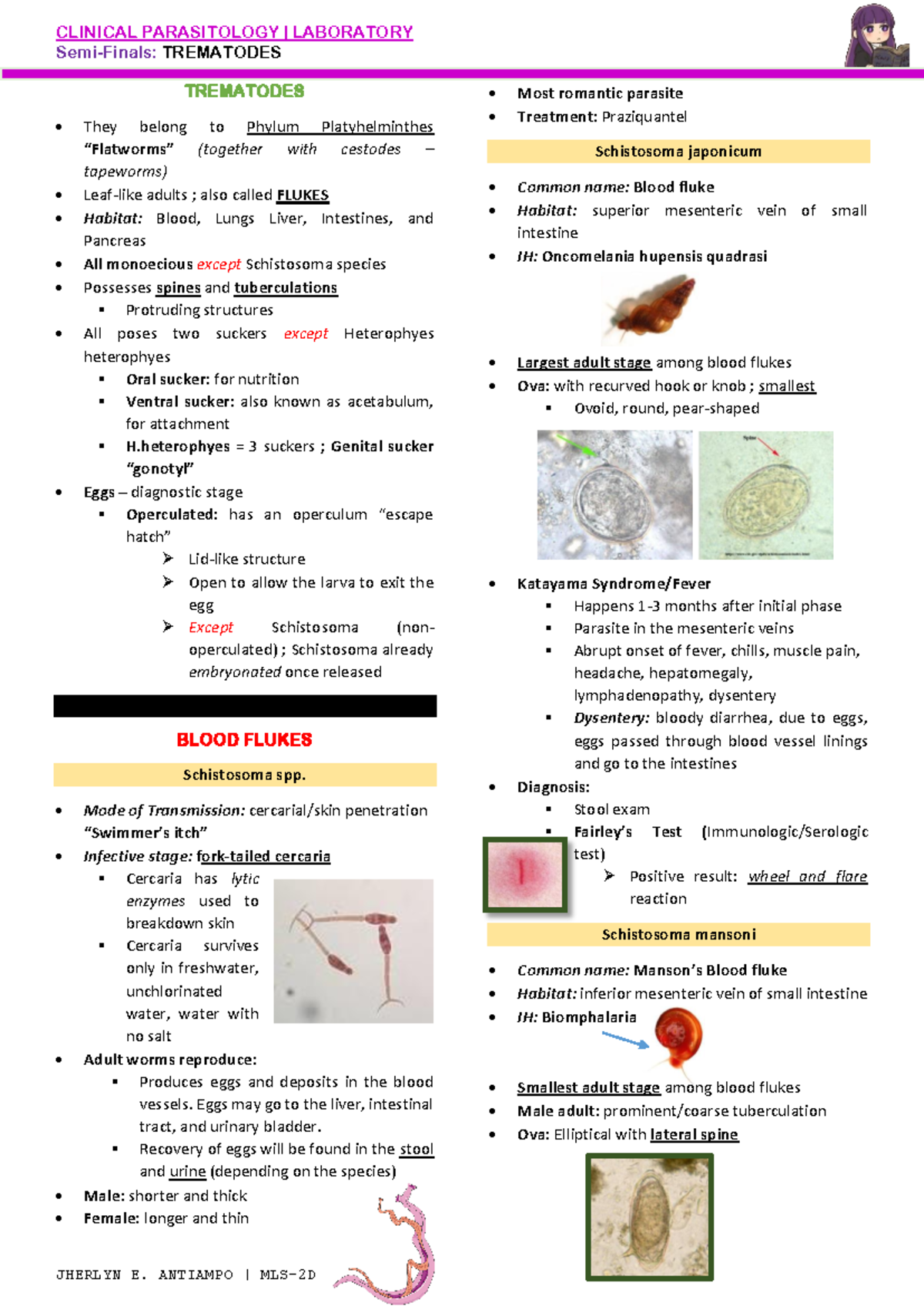 Paralab - Trematodes - Clinical Parasitology Lab - Semi-Finals: TREMATODES TREMATODES They ...