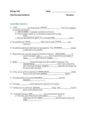 Photosynthesis Cellular Respiration and Fermentation Worksheet - Name