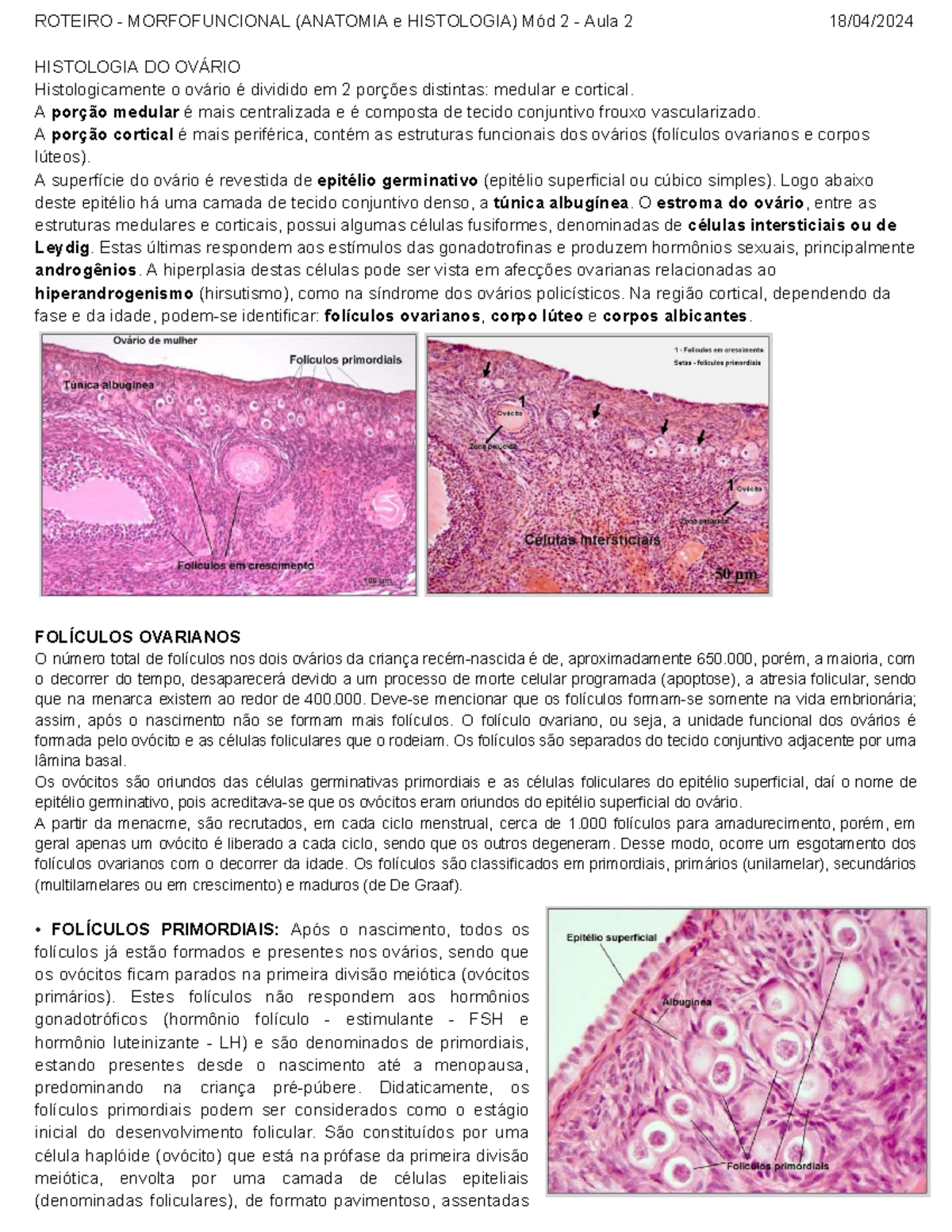 Roteiro Morfo Embrio (incompleto) - ROTEIRO - MORFOFUNCIONAL (ANATOMIA e HISTOLOGIA) Mód 2 ...