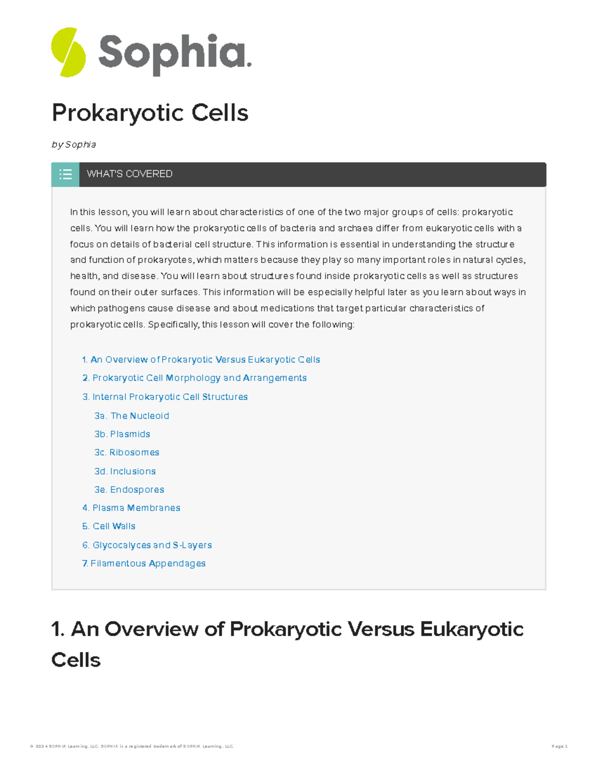 Prokaryotic-cells - Prokaryotic Cells by Sophia In this lesson, you ...