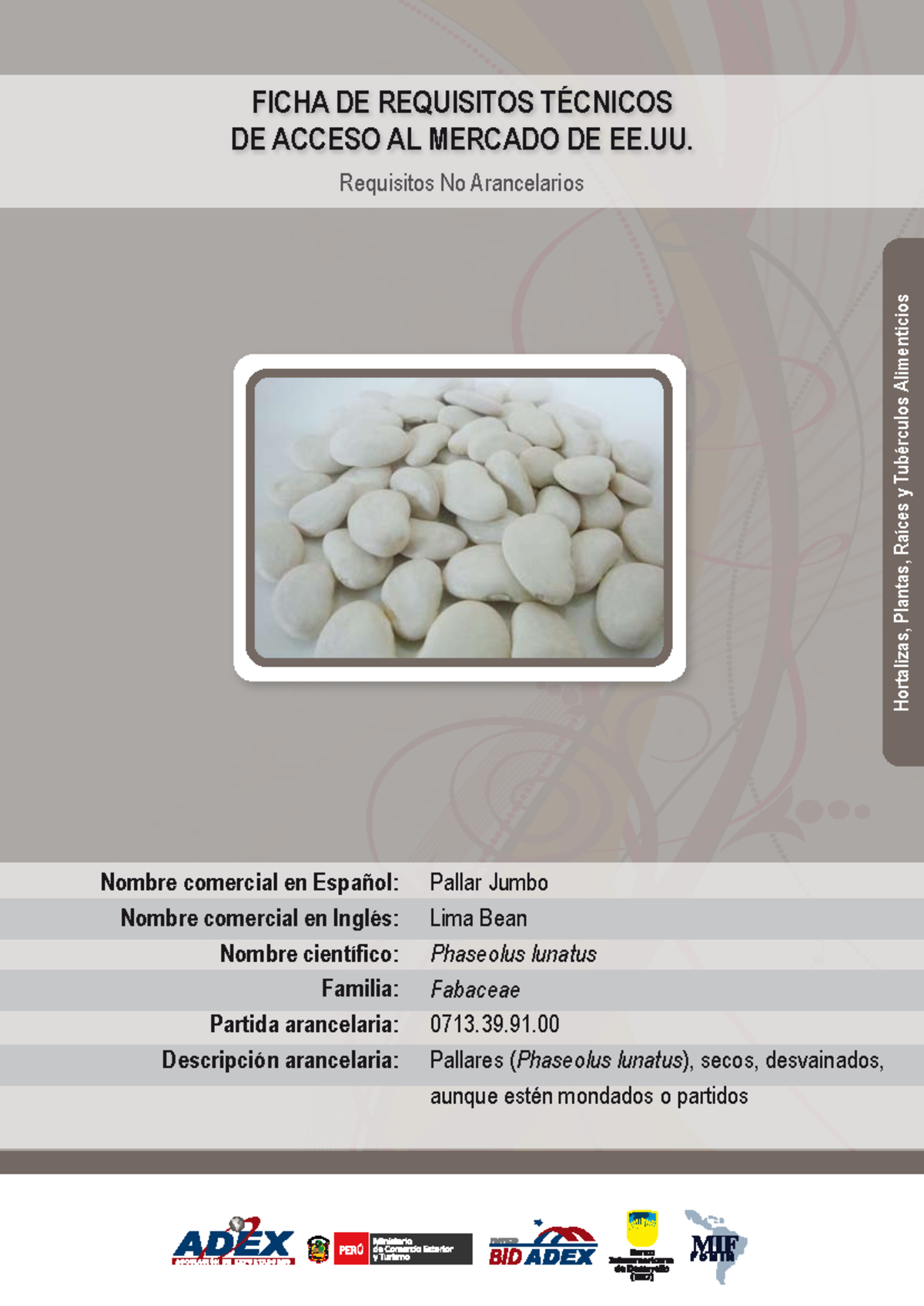 Exportación de pallar Jumbo a mercados EEUU - Pallar Jumbo Lima Bean ...