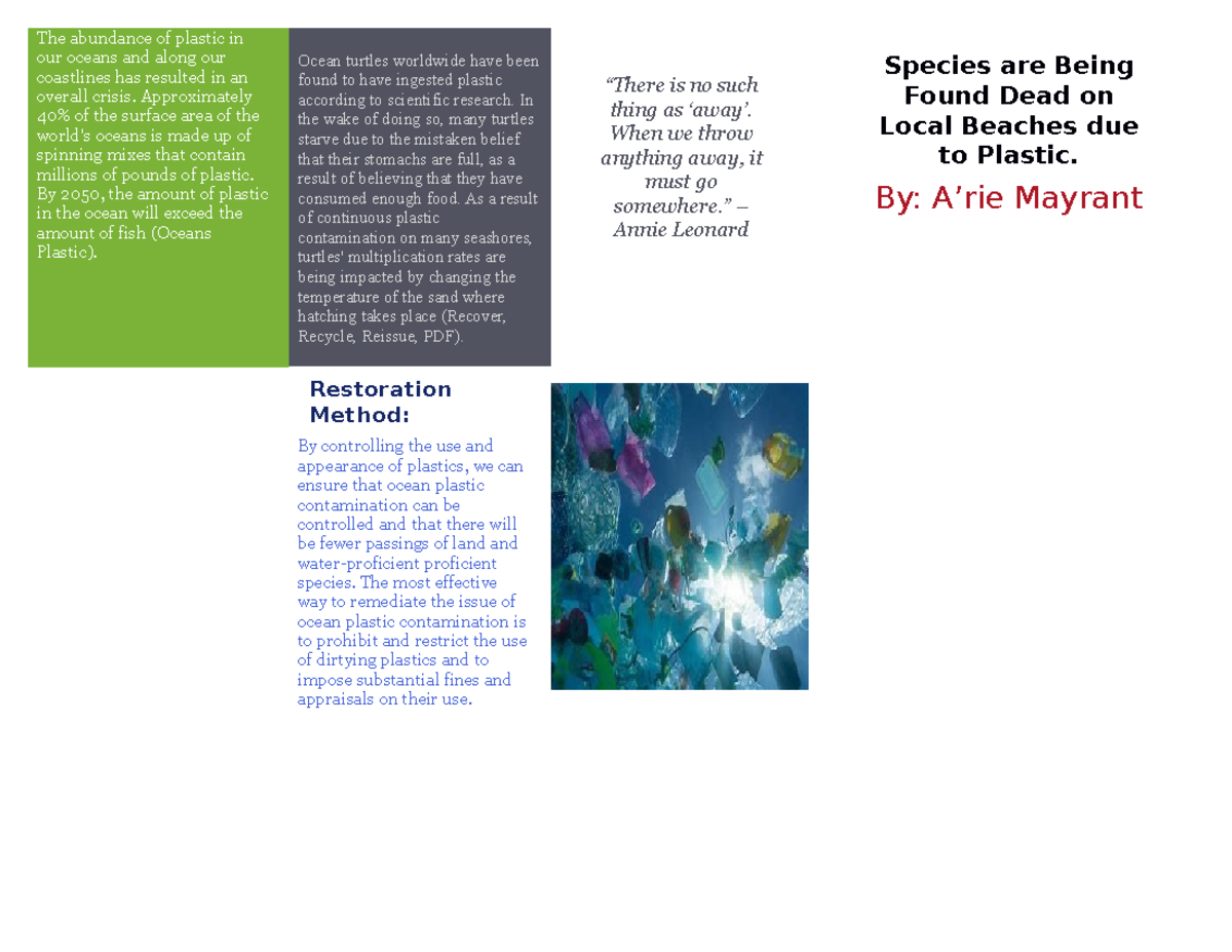 Restoration Pamphlet - this is an assignment that was due in this class ...