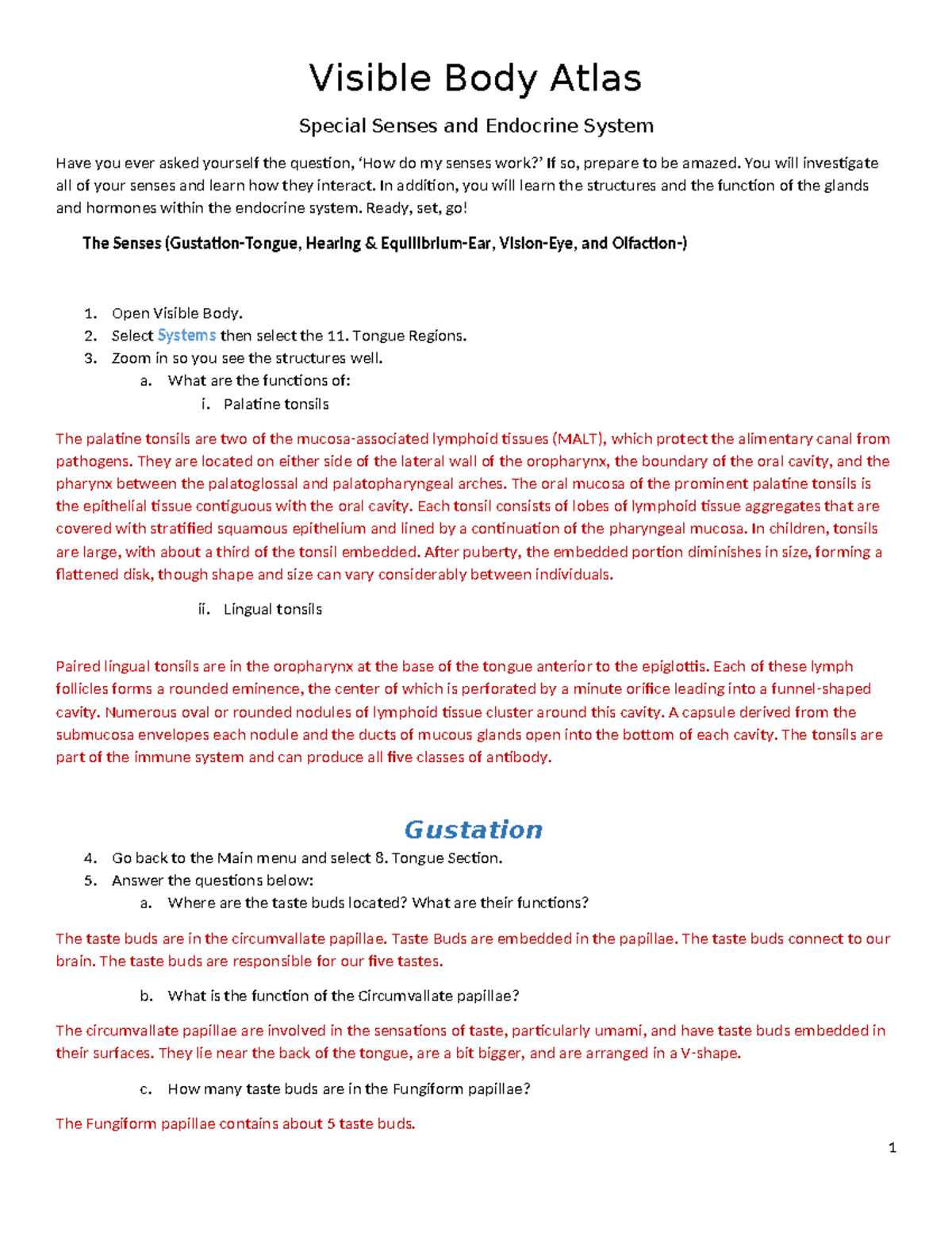 Week 4 Visible B Senses and hormones - Visible Body Atlas Special ...