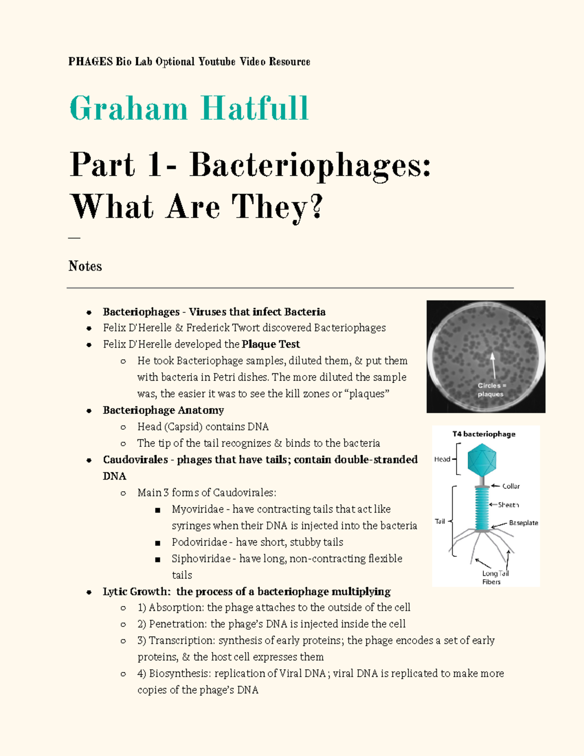 Graham Hatfull Phages Lab Optional YT Video Notes - PHAGES Bio Lab ...