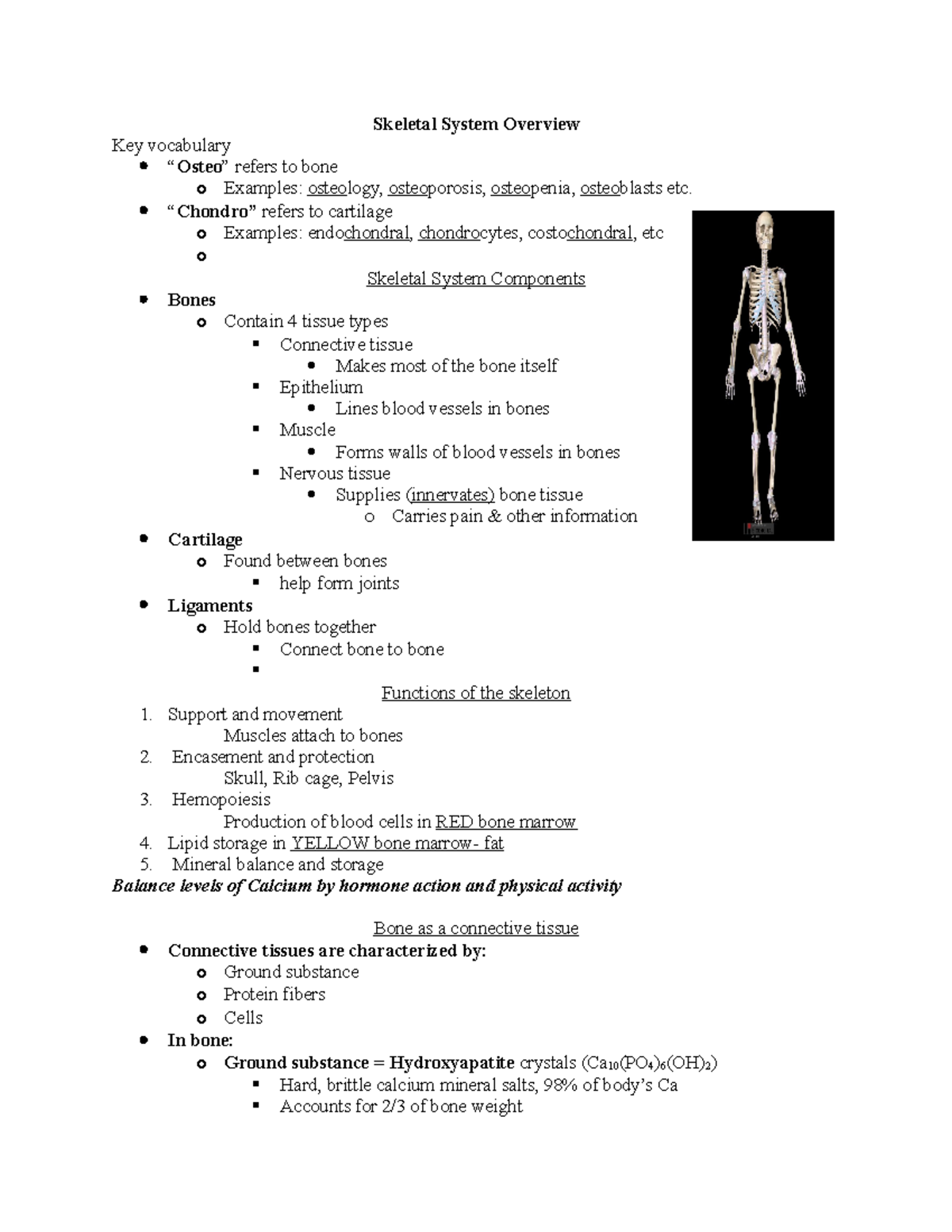 Skeletal System Overview - “ Chondro” refers to cartilage o Examples ...
