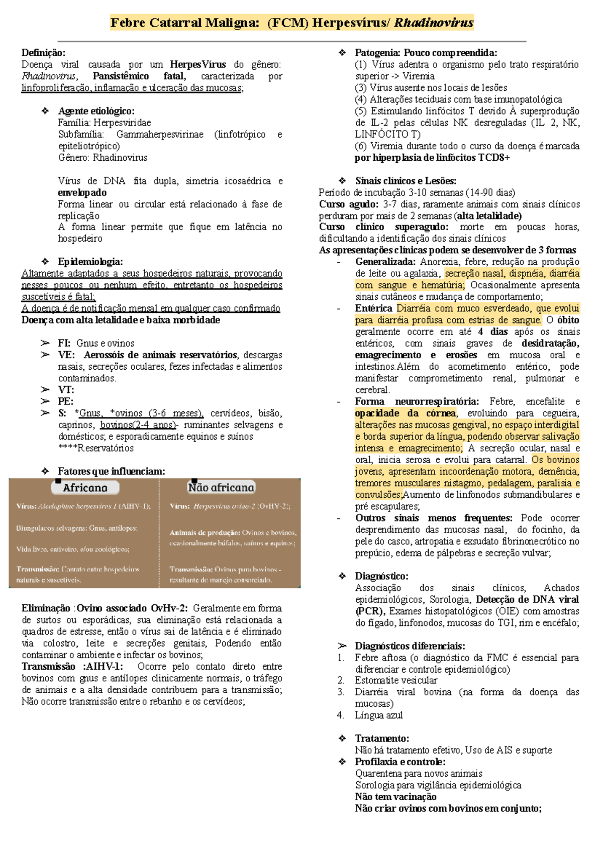 Febre catarral maligna - Febre Catarral Maligna: (FCM) Herpesvírus ...