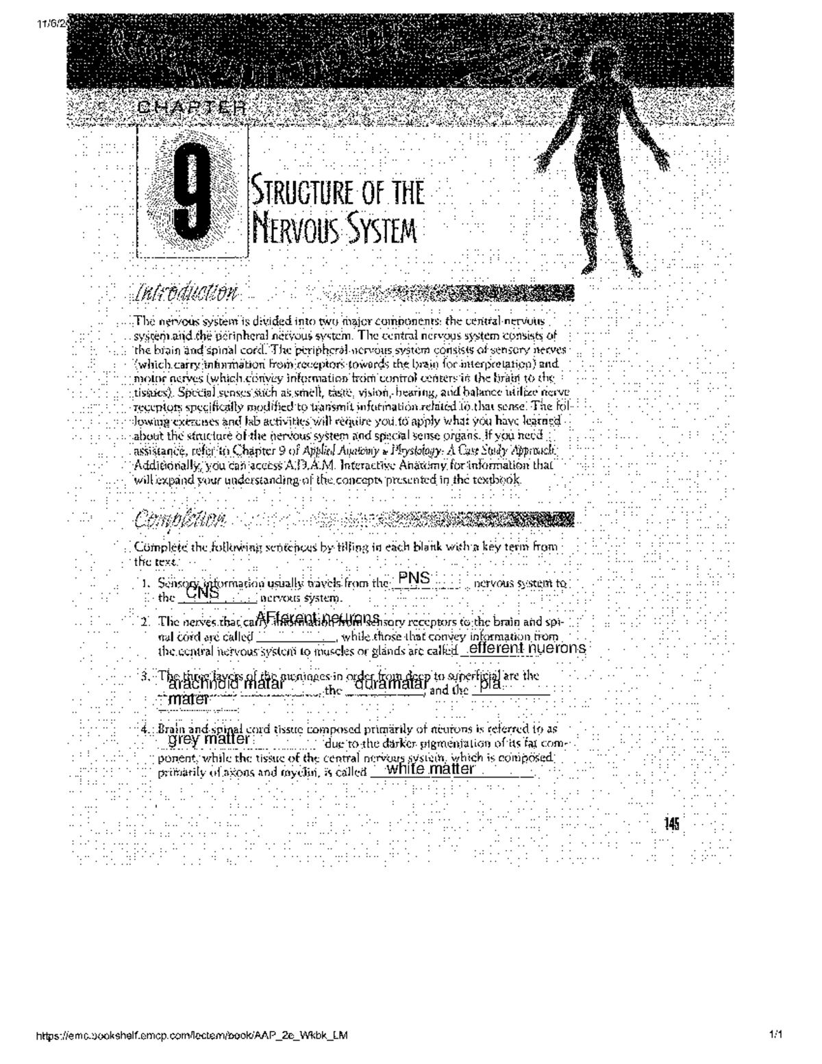 Nervous system pages - My work for a particular assignment - PNS CNS ...