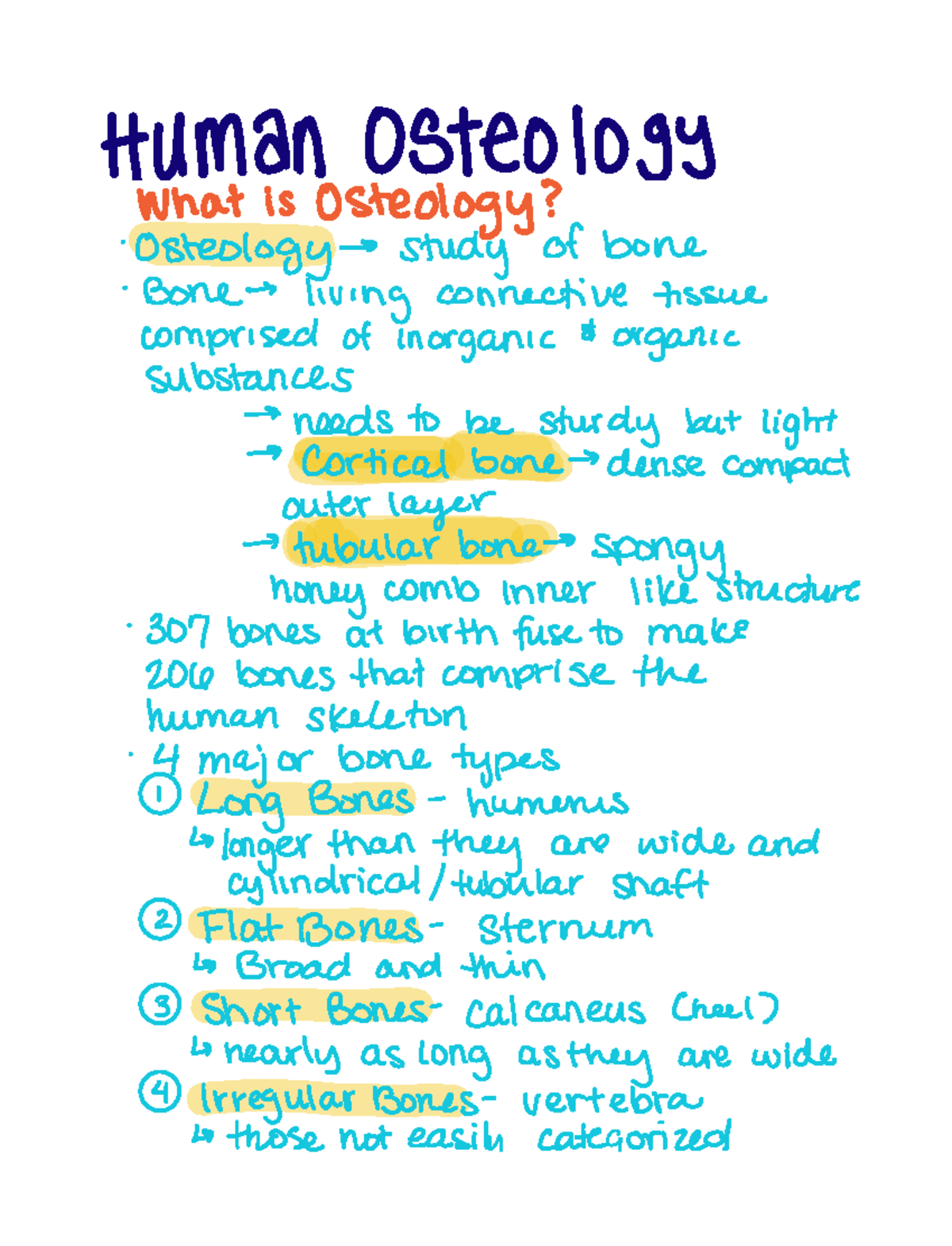 Module Two - Instructor: Steven Rhue - Humann Osteology What is ...