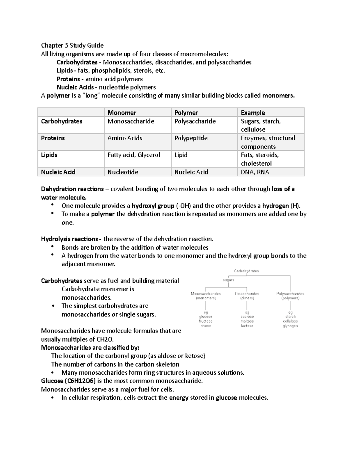 Chapter 5 Study Guide - Chapter 5 Study Guide All living organisms are ...