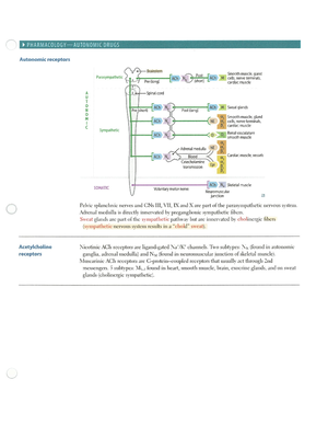 Exam 1 - detailed handwritten note of key points of pharmacology - with ...