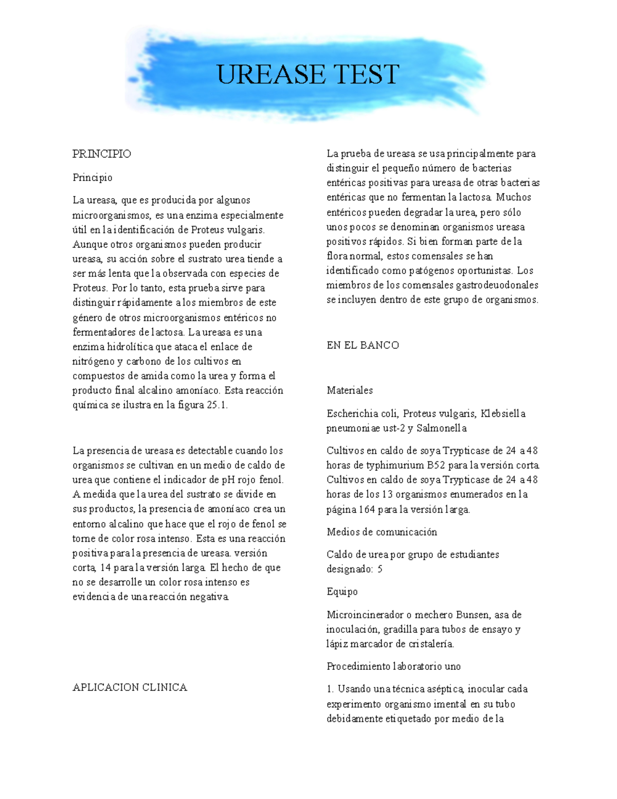 Prueba 20 Ureasa - UREASE TEST PRINCIPIO Principio La ureasa, que es ...