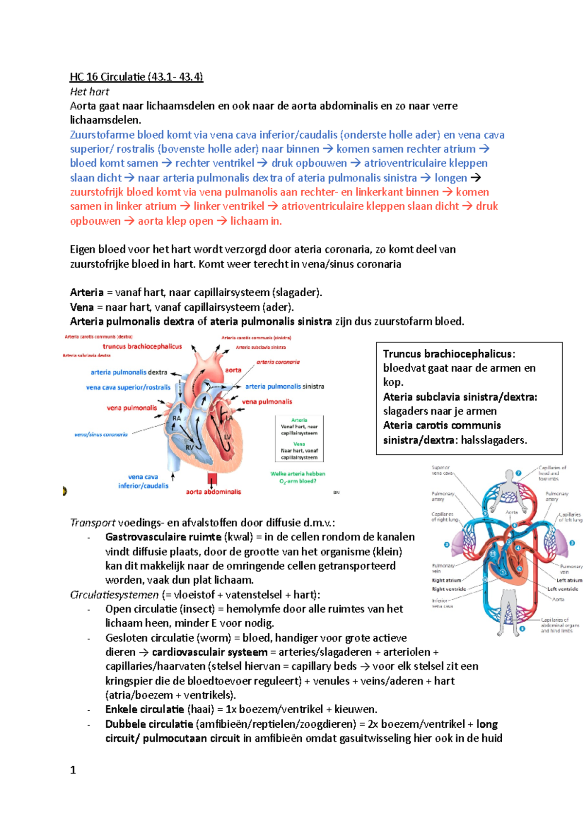 HC 16 tot 22 (deeltoets 3) - HC 16 Circulatie (43- 43) Het hart Aorta gaat naar lichaamsdelen en ...