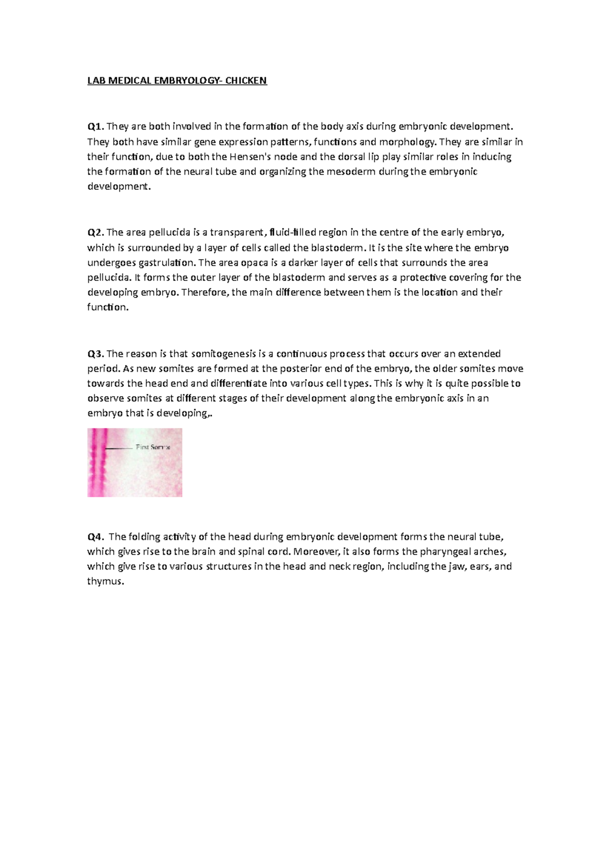 LAB Medical Embryology- chicken - LAB MEDICAL EMBRYOLOGY- CHICKEN Q1 ...