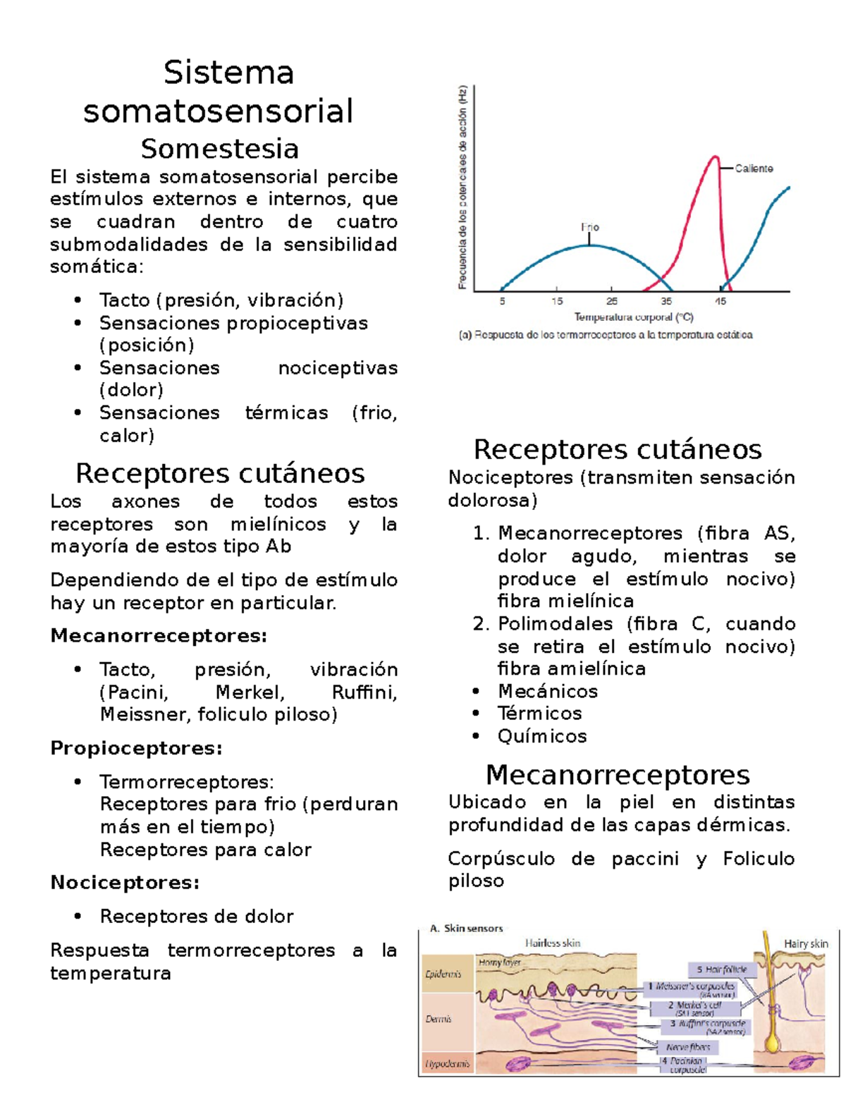 4. somestesia y dolor (unidad de neurofisiologia) - Fisiología - UTalca ...
