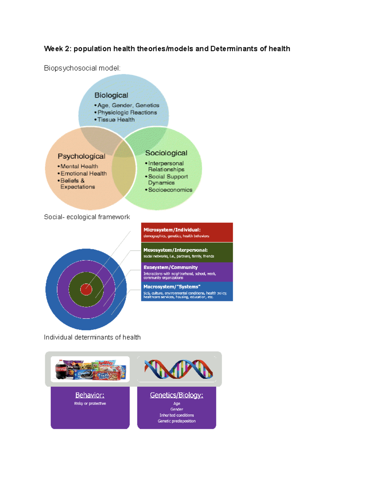 Week 2 population health theories models and Determinants of health ...