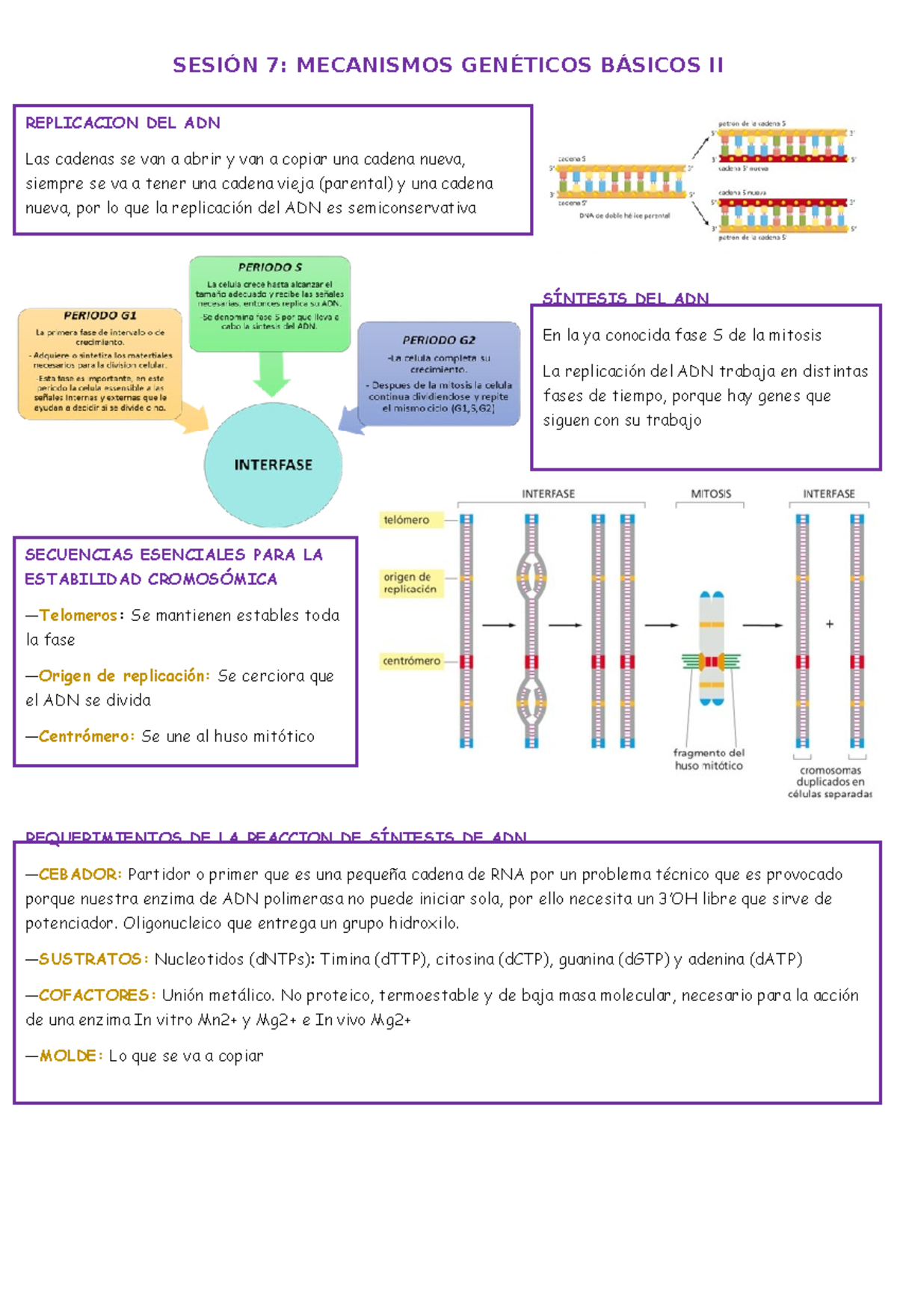 Sesión 7 BIOLOGÍA CELULAR - SESIÓN 7: MECANISMOS GENÉTICOS BÁSICOS II ...