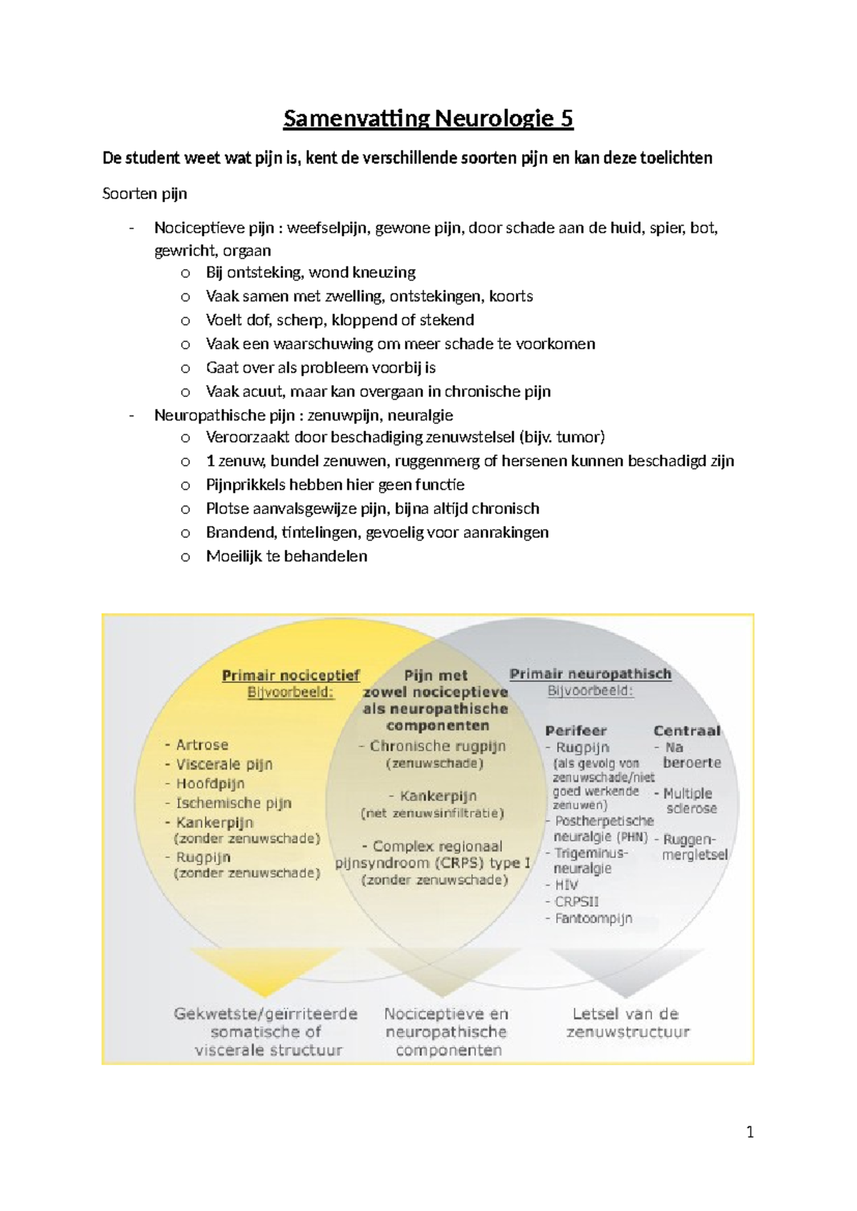 Samenvatting Neuro 5 - Samenvatting Neurologie 5 De student weet wat pijn is, kent de ...