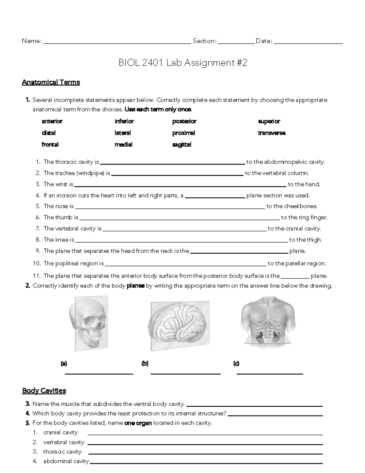 Assignment #2 - BIOL 2401 - Spring 2022 - Name ...