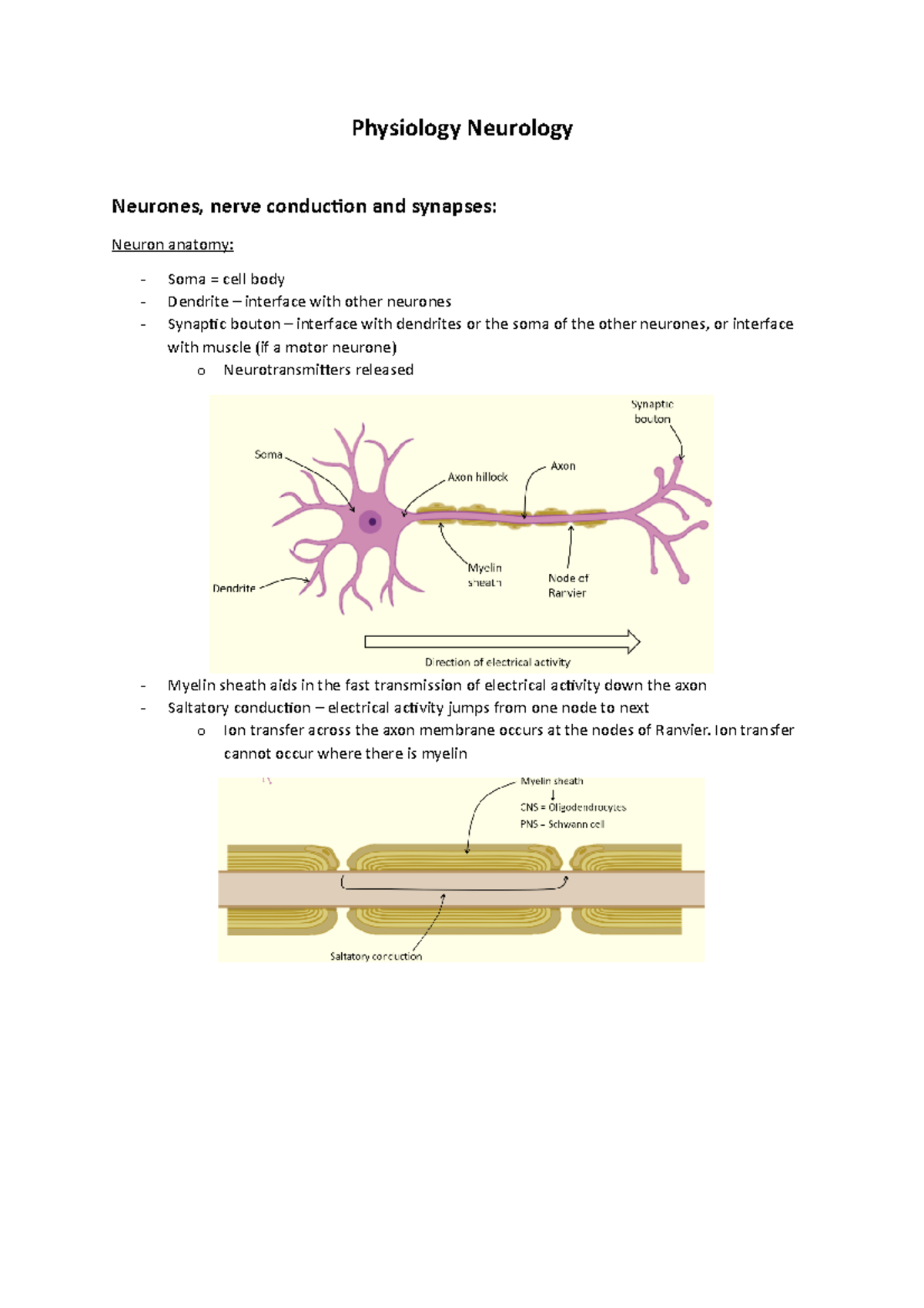 Physiology Neurology - Lecture notes Week 1 - Week 5 - Physiology ...