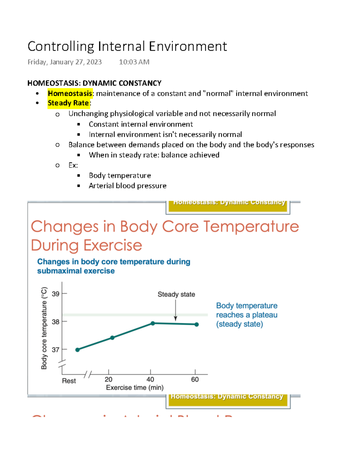 Controlling Internal Environment - HOMEOSTASIS: DYNAMIC CONSTANCY ...