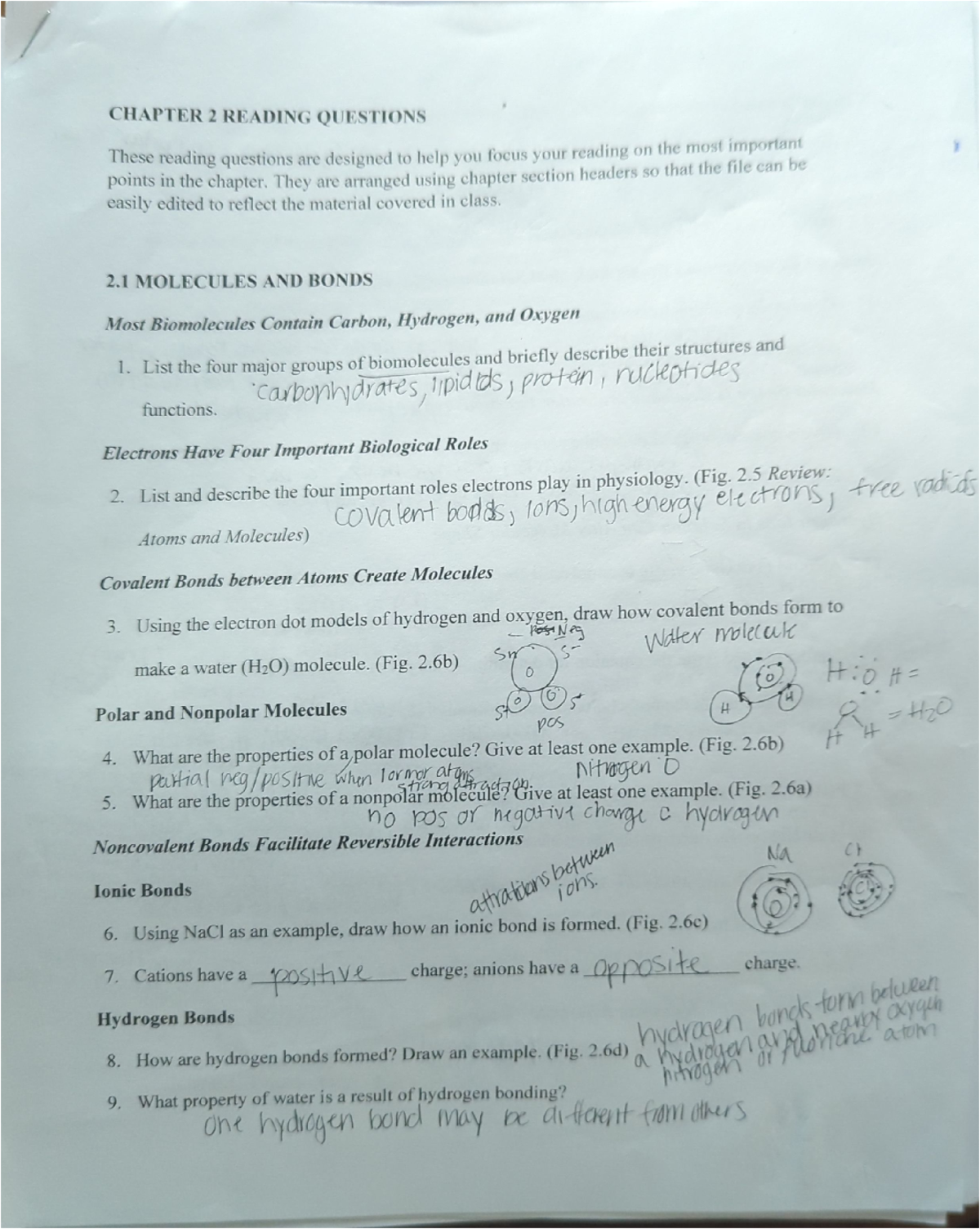 Chapter 2 Reading Questions - CHAPTER 2 READING QUESTIONS These reading ...
