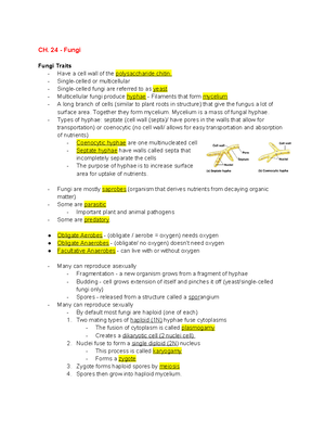 EXAM #1 Content (Lectures 1.1-1.5) - Ch. 20-23 - LECTURE 1- CH. 20 ...