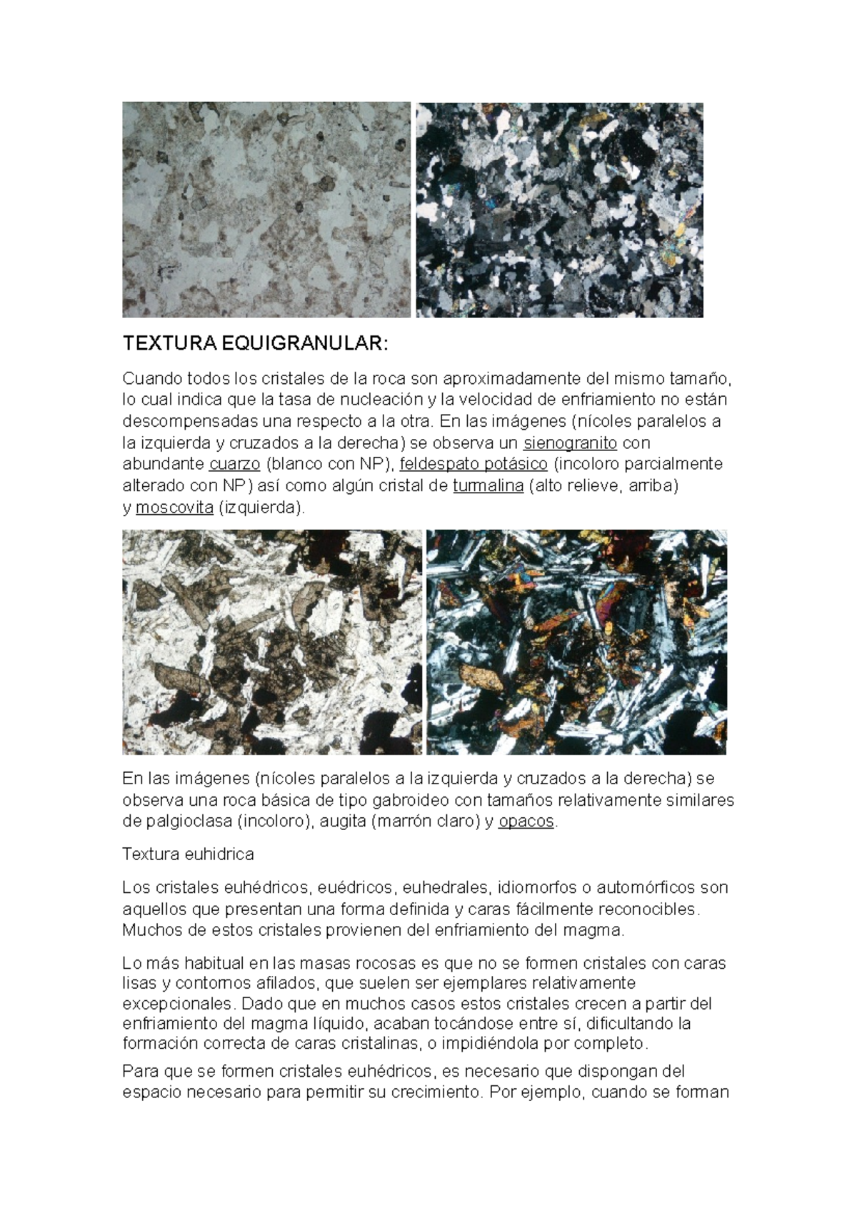 Textura Equigranular de las rocas - TEXTURA EQUIGRANULAR: Cuando todos ...
