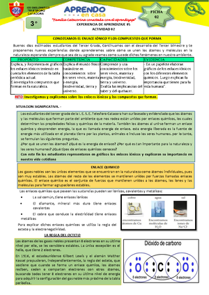 Proyecto de aprendizaje de lluvias - DIARIO DE LA EXPERIENCIA DE DE LAS ...