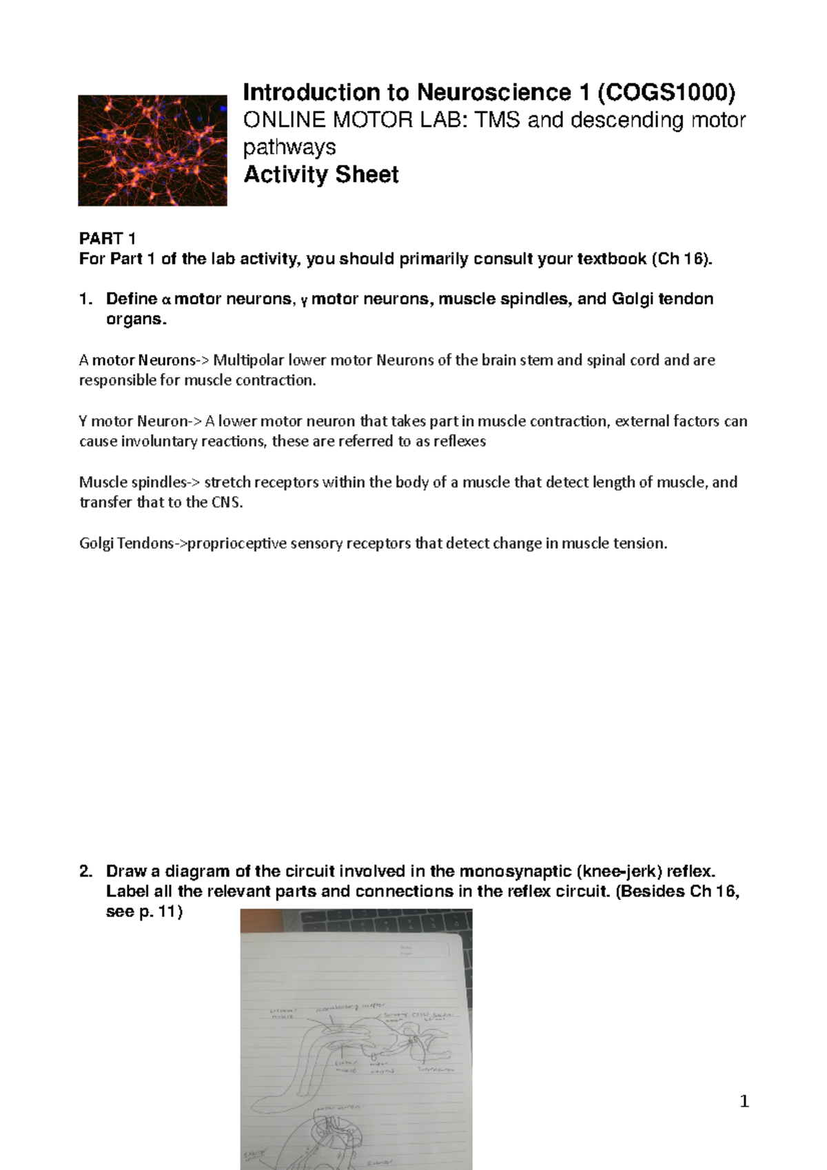 Motor-lab- work sheet with answers - Introduction to Neuroscience 1 ...