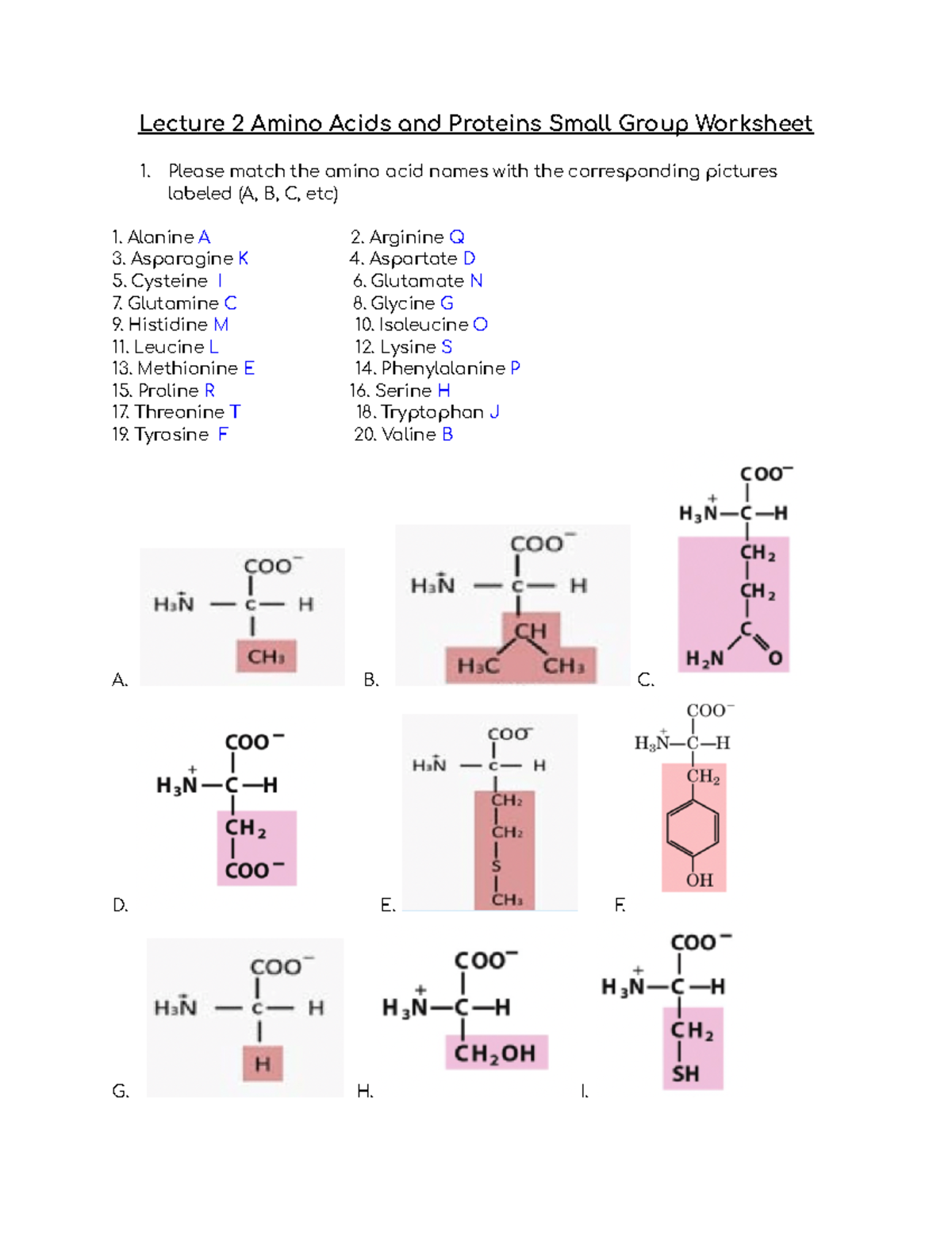 Lecture 2 Worksheet Answer Key - Lecture 2 Amino Acids and Proteins ...