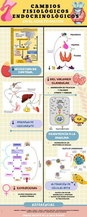 Informe Gastrointestinal - SISTEMA GATROINTESTINAL Inspección El ...